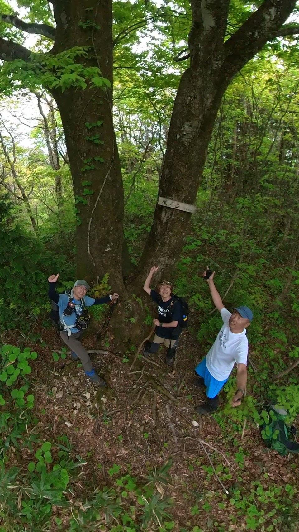 馬ノ神山〜魔ノ岳〜梵珠山〜 鐘撞堂山フルコース縦走満喫 / junko(☝ ՞ਊ ՞)☝CKBさんの梵珠山の活動日記 | YAMAP / ヤマップ