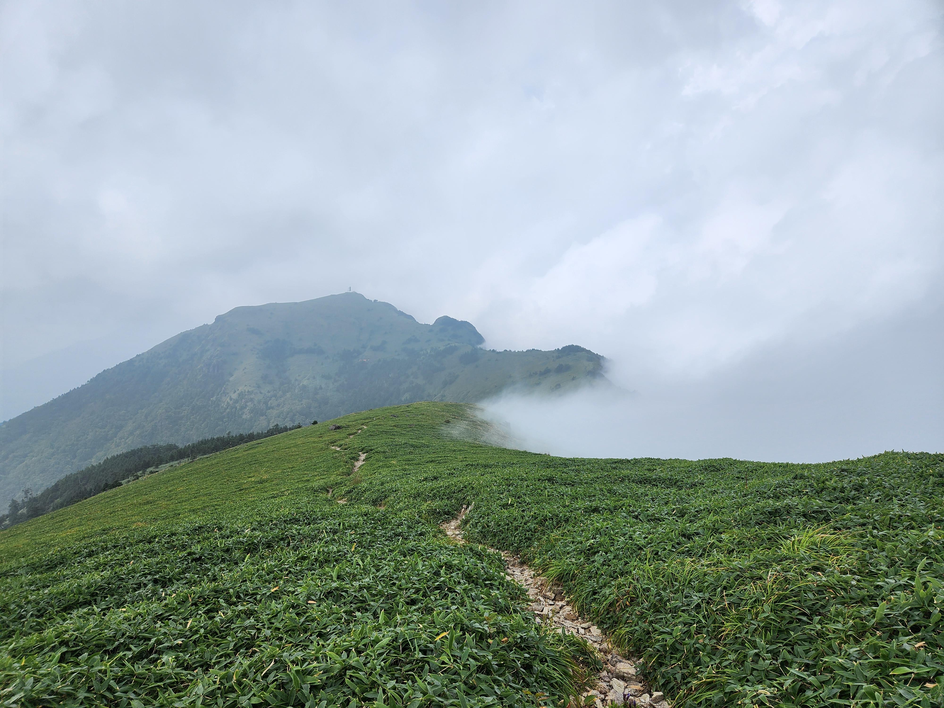 四国百名山”だらっと”踏破一直線 第9回... / TEAM志刻Walkerさんのモーメント | YAMAP / ヤマップ