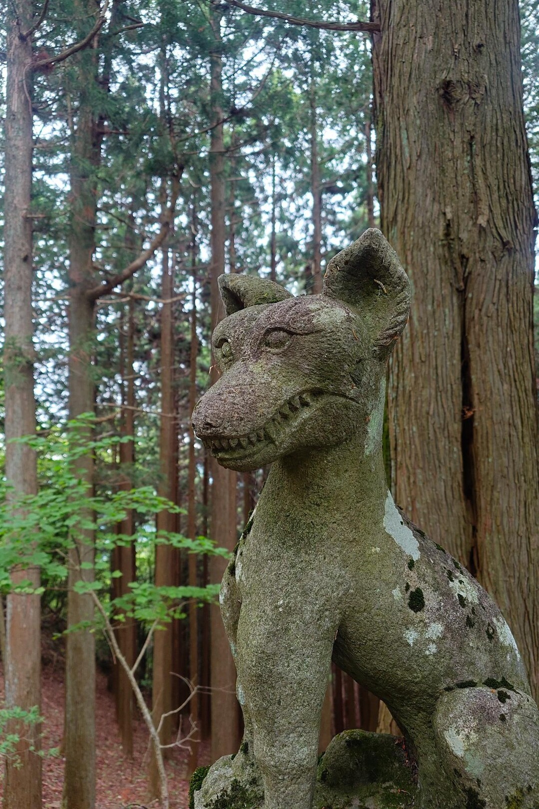 19回目の桐生アルプス鳴神ピストン20km / ta2さんの鳴神山・吾妻山の活動データ | YAMAP / ヤマップ