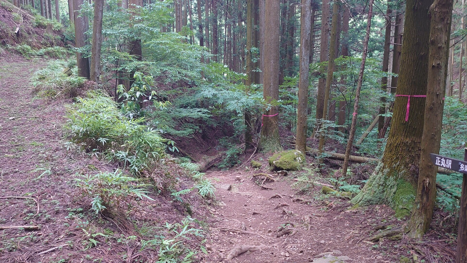 TKYMさんの投稿したフィールドメモ | YAMAP / ヤマップ