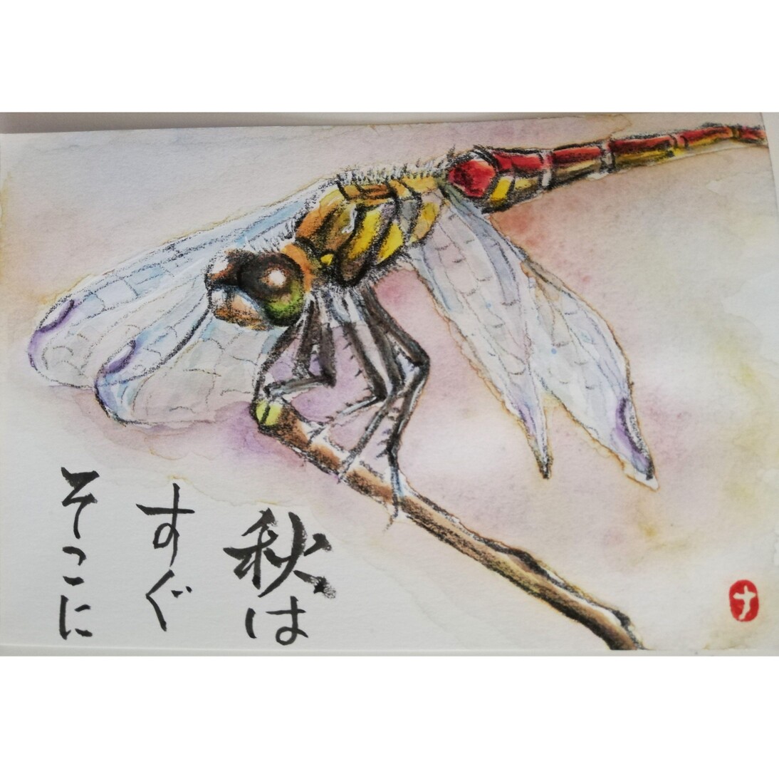 秋はすぐそこに 見晴し森林浴ジョグ 3km トンボ 猫の絵手紙 / maki816さんの矢倉岳の活動データ | YAMAP / ヤマップ