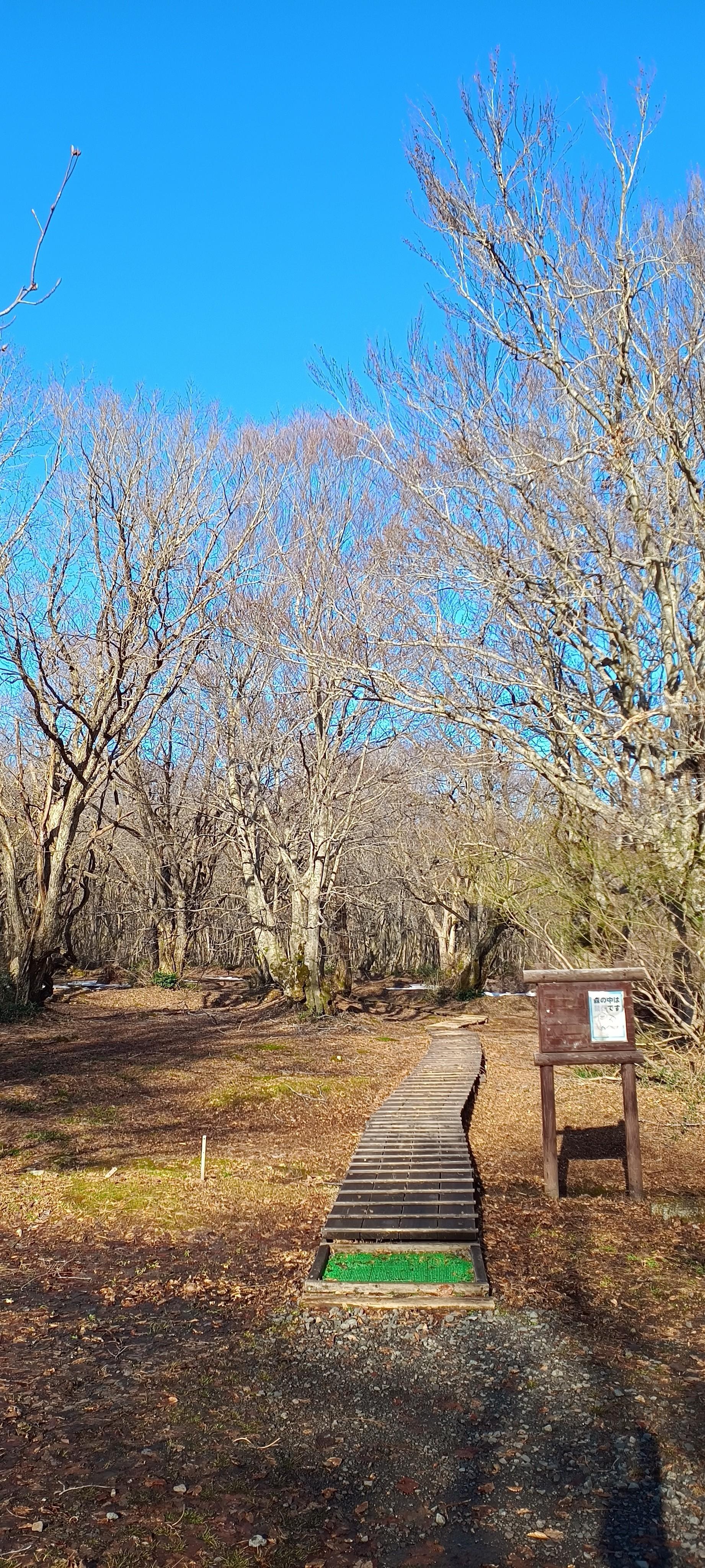 新山 中島台 / EMMAさんの鳥海山・七高山・笙ヶ岳の活動データ | YAMAP / ヤマップ