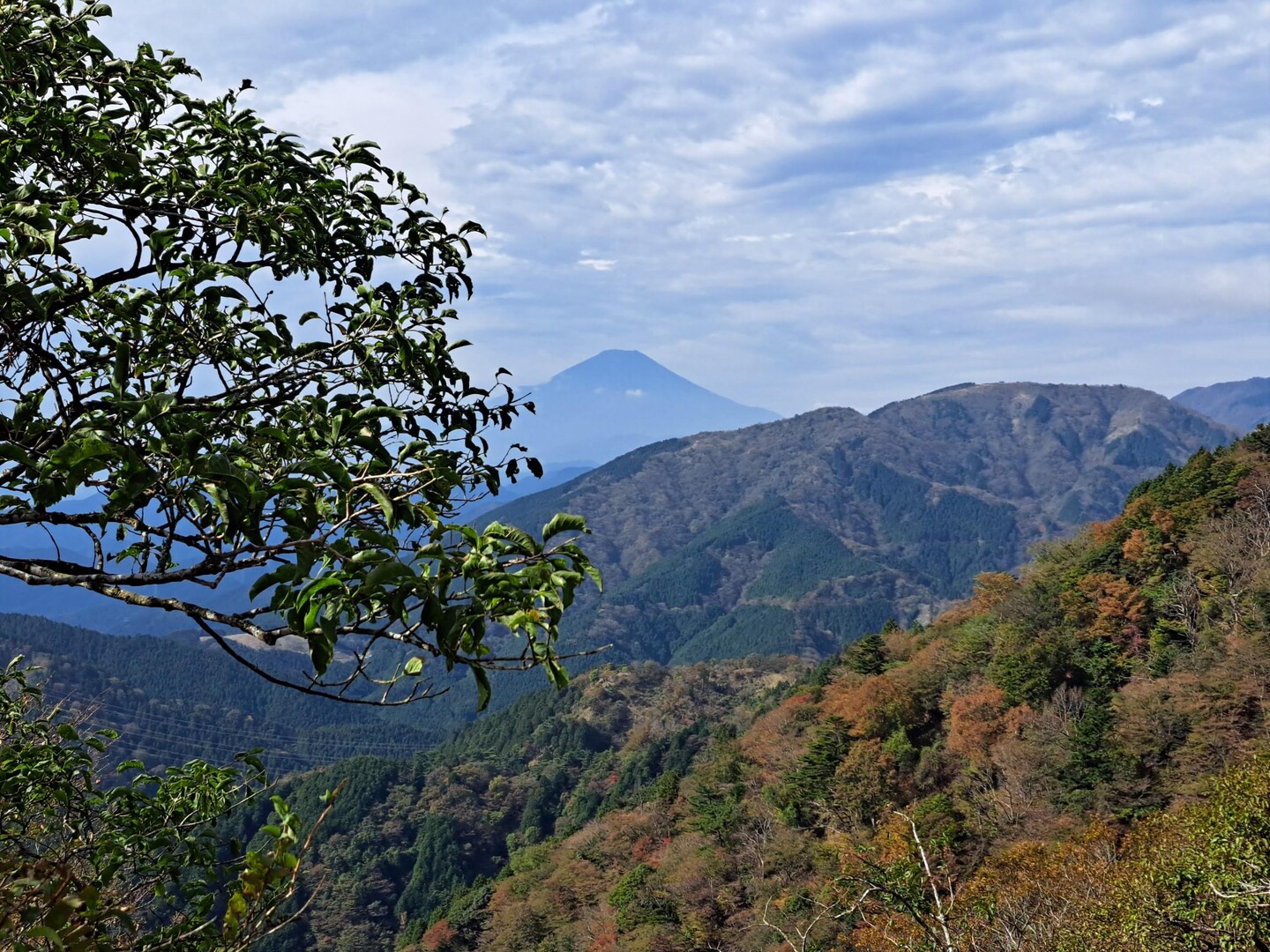 大山 / nem山さんの大山の活動データ | YAMAP / ヤマップ