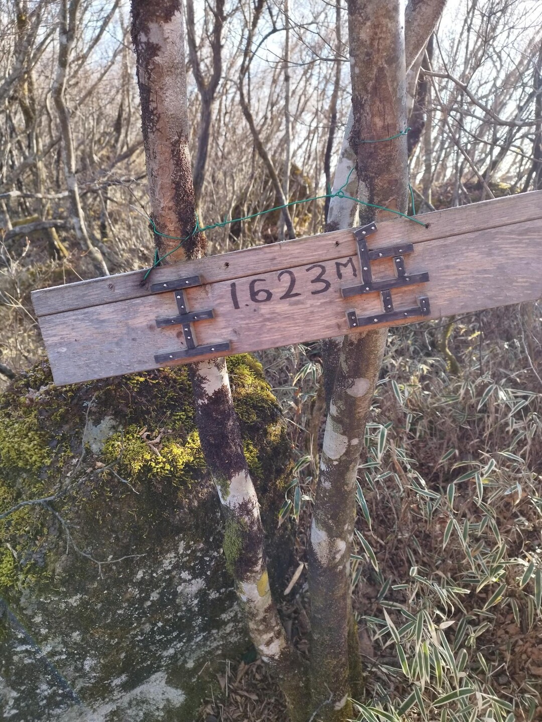 王岳 南尾根（VR） / horitakaさんの節刀ヶ岳・破風山・足和田山の活動データ | YAMAP / ヤマップ