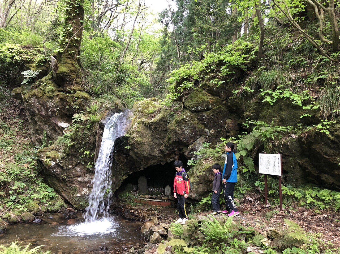 要害山 周回-2020-05-01 / w823hさんの村上市（荒川地区）の活動データ | YAMAP / ヤマップ
