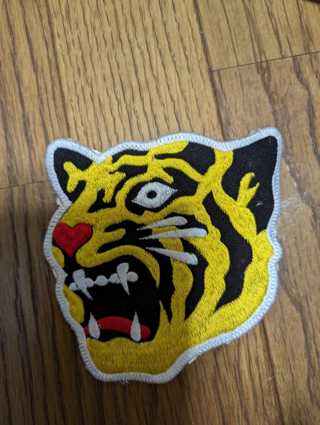 こんばんは😂 嬉し泣きMomentです... / 新ちゃんさんのモーメント | YAMAP / ヤマップ