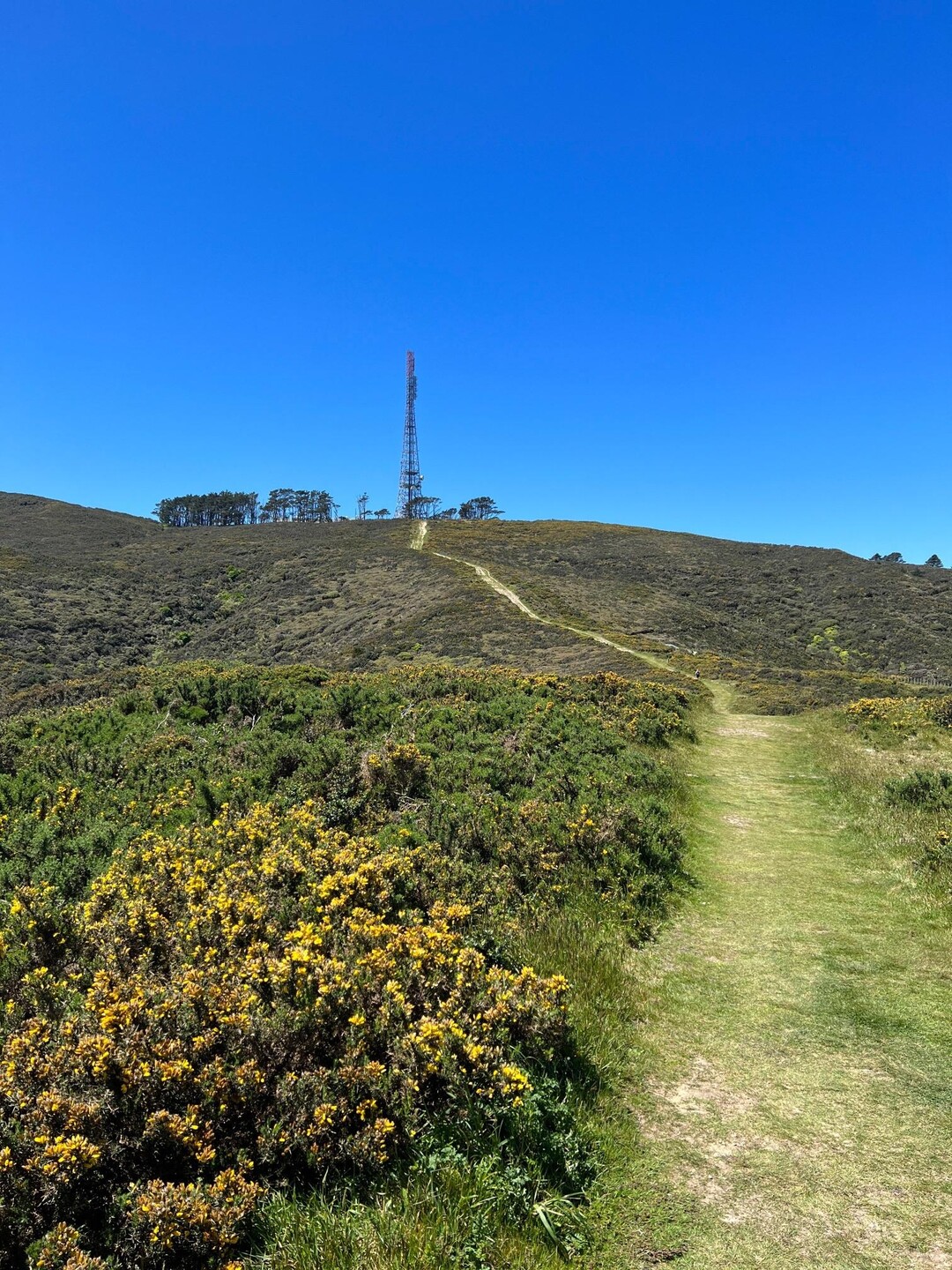 ウォーキング-2023-11-11 / Yoshihiro Itoさんのウォーキングの活動データ | YAMAP / ヤマップ