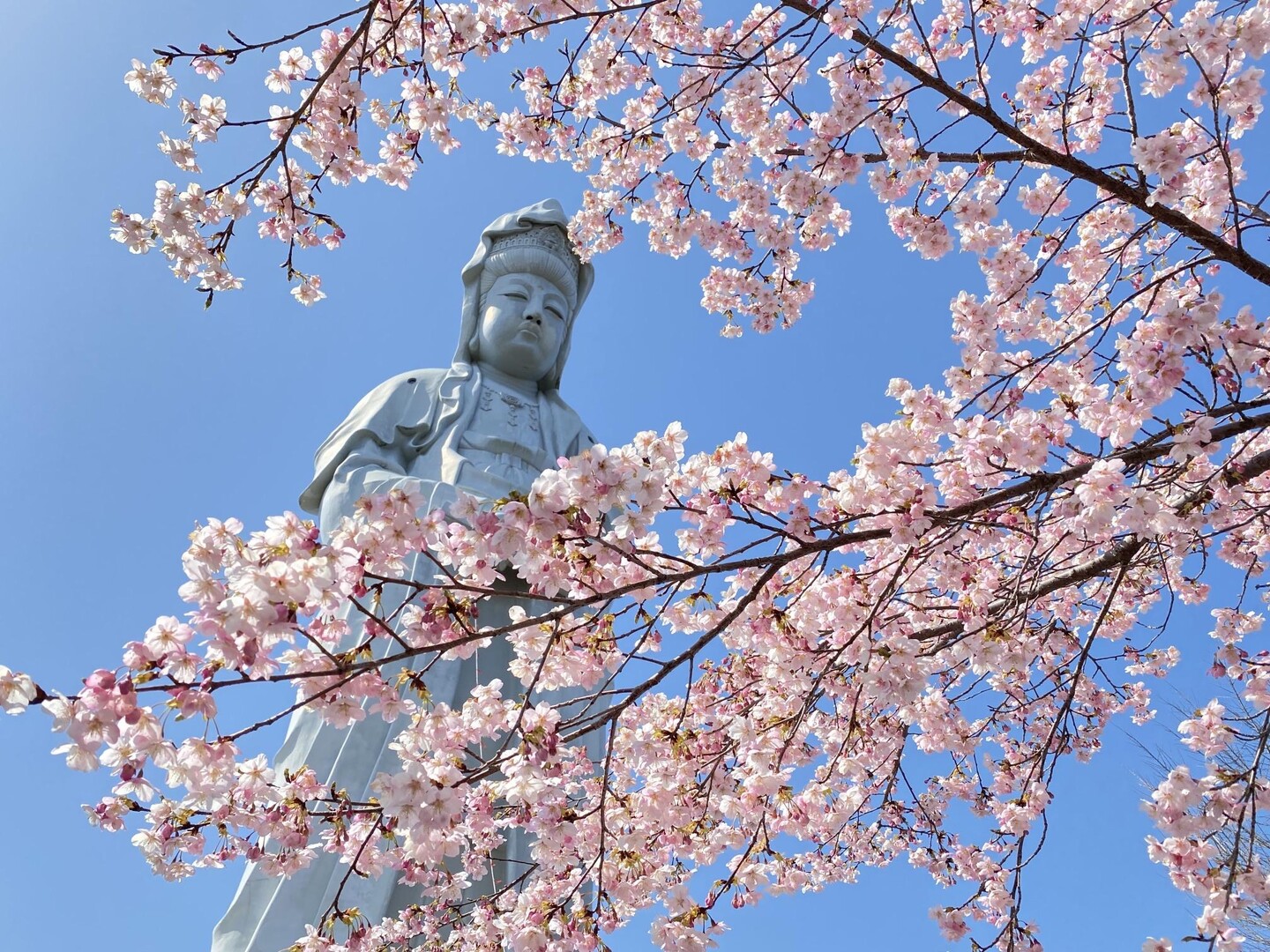 観音山 / Yutaさんのウォーキングの活動データ | YAMAP / ヤマップ