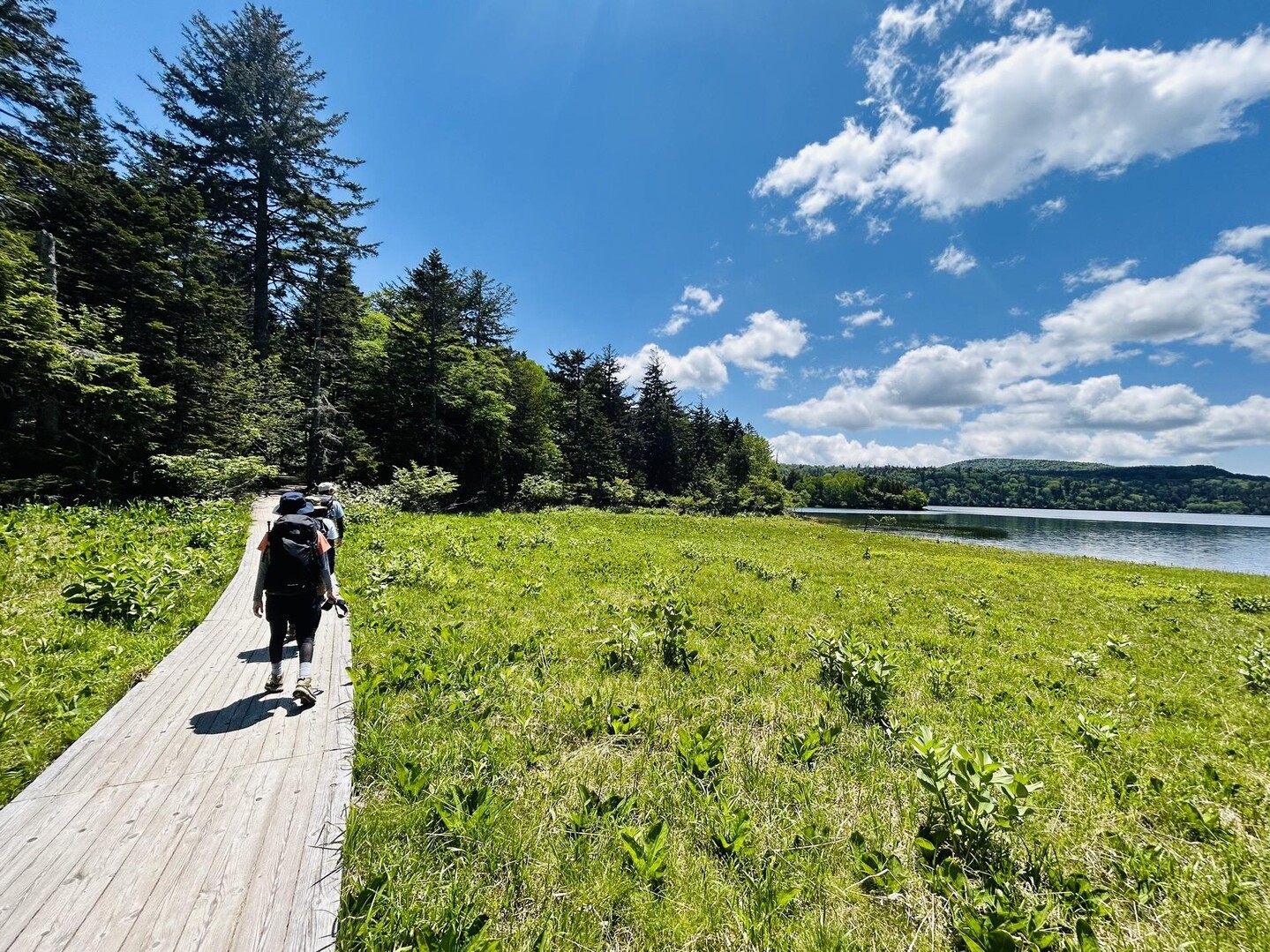 尾瀬・燧ヶ岳-2023-06-20 / m. hiroさんの尾瀬・燧ヶ岳の活動データ | YAMAP / ヤマップ