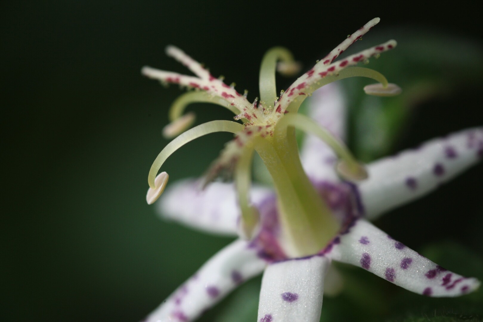 【秋の気配】 秋の気配を感じますね。写真... / windyさんのモーメント | YAMAP / ヤマップ