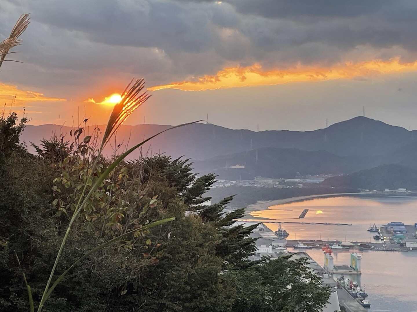 穏やかな日 天筒山 / miniさんの天筒山・中池見湿地の活動データ | YAMAP / ヤマップ
