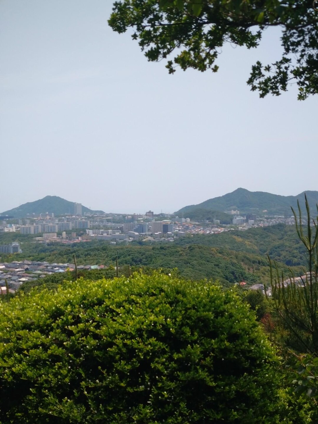 高塚山 / kinu235（きぬ）さんの六甲山・長峰山・摩耶山の活動データ | YAMAP / ヤマップ