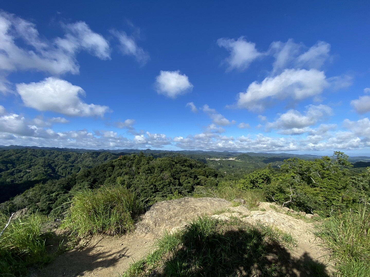 のんびり高宕山 / Funさんの高宕山・寂光山・大塚山の活動データ | YAMAP / ヤマップ