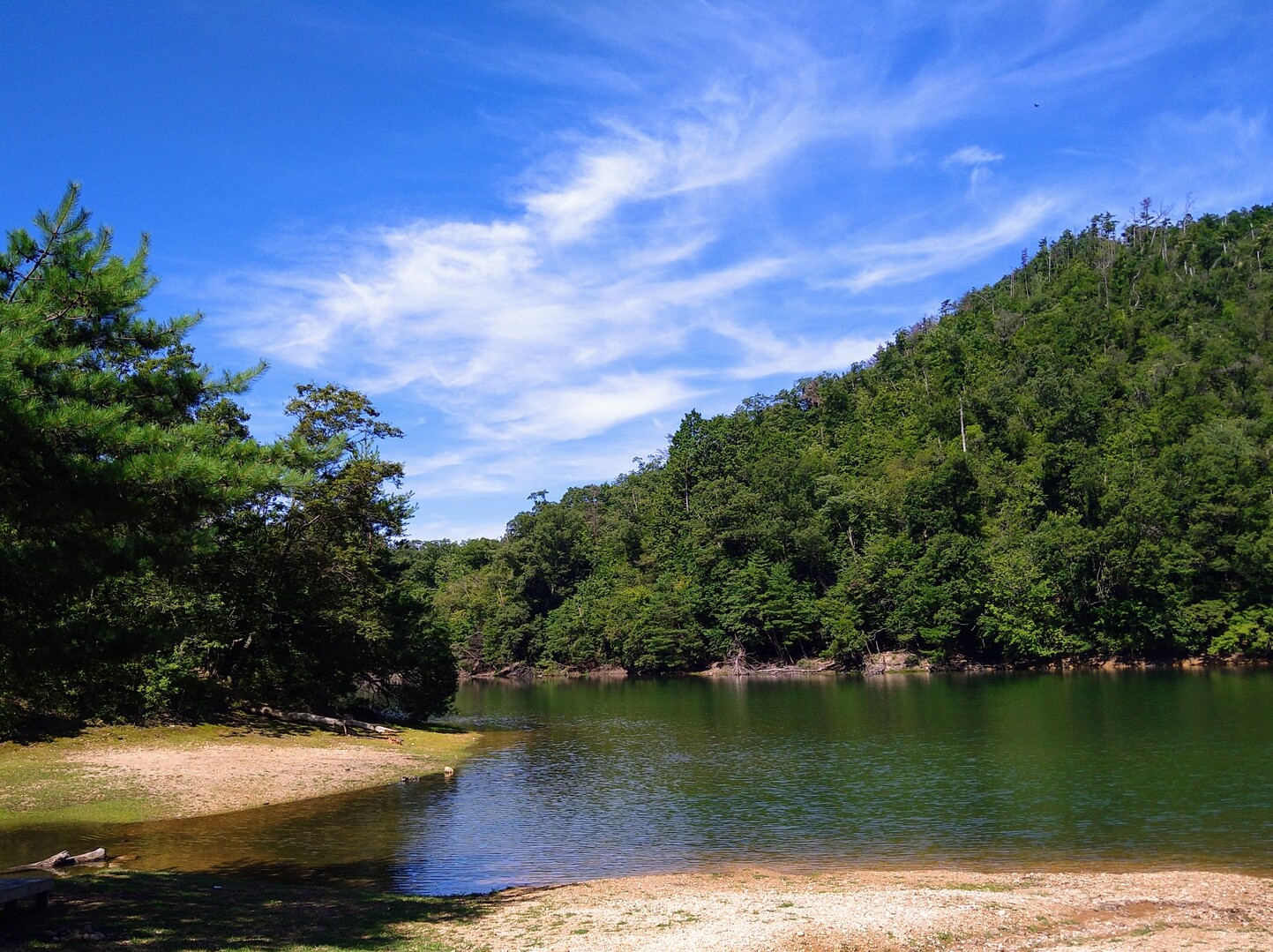 沢山 / YT9さんの十三石山・釈迦谷山・沢山の活動データ | YAMAP / ヤマップ