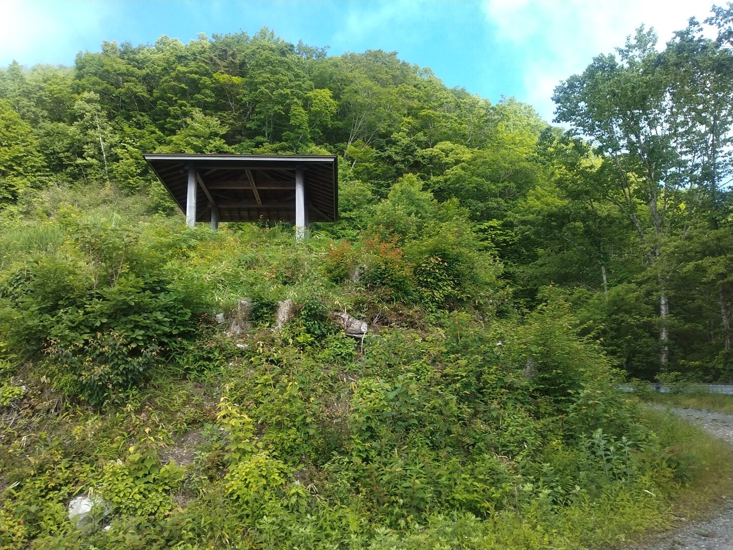 空木岳 / 木曽駒ヶ岳・空木岳・越百山の写真15枚目 | YAMAP / ヤマップ