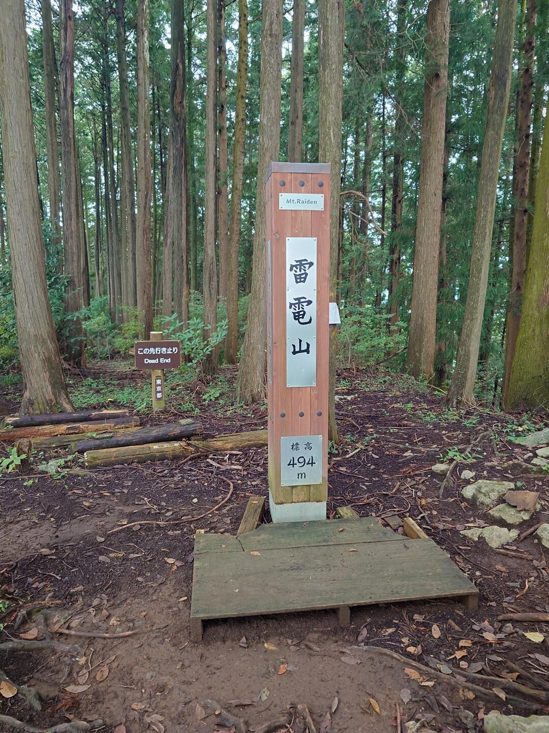 三方山・マスガタ山・物見山・辛垣山・雷電山 / ゆみこさんの大岳山・御岳山・御前山の活動データ | YAMAP / ヤマップ