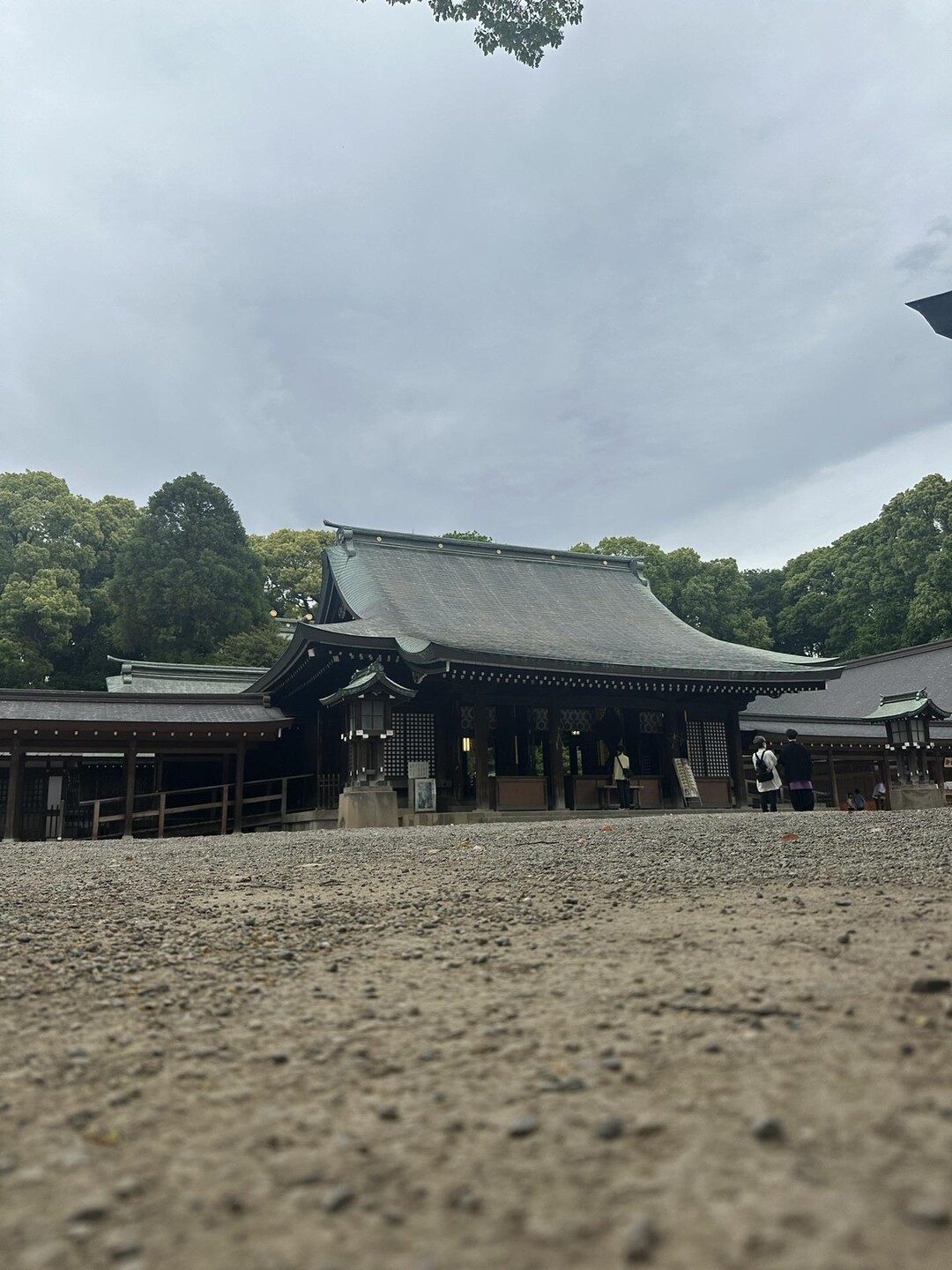 今日はもう一つの趣味でどっかの氷川神社へ... / syunziさんのモーメント | YAMAP / ヤマップ