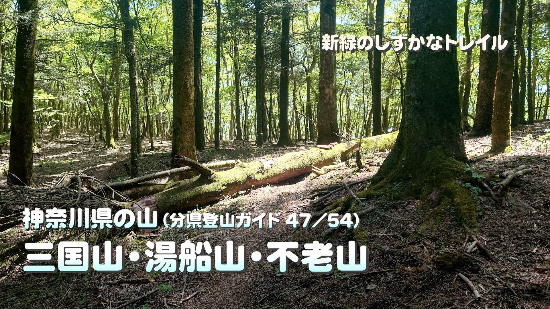 Youtube:[https://you... / StrayCatさんのモーメント | YAMAP / ヤマップ