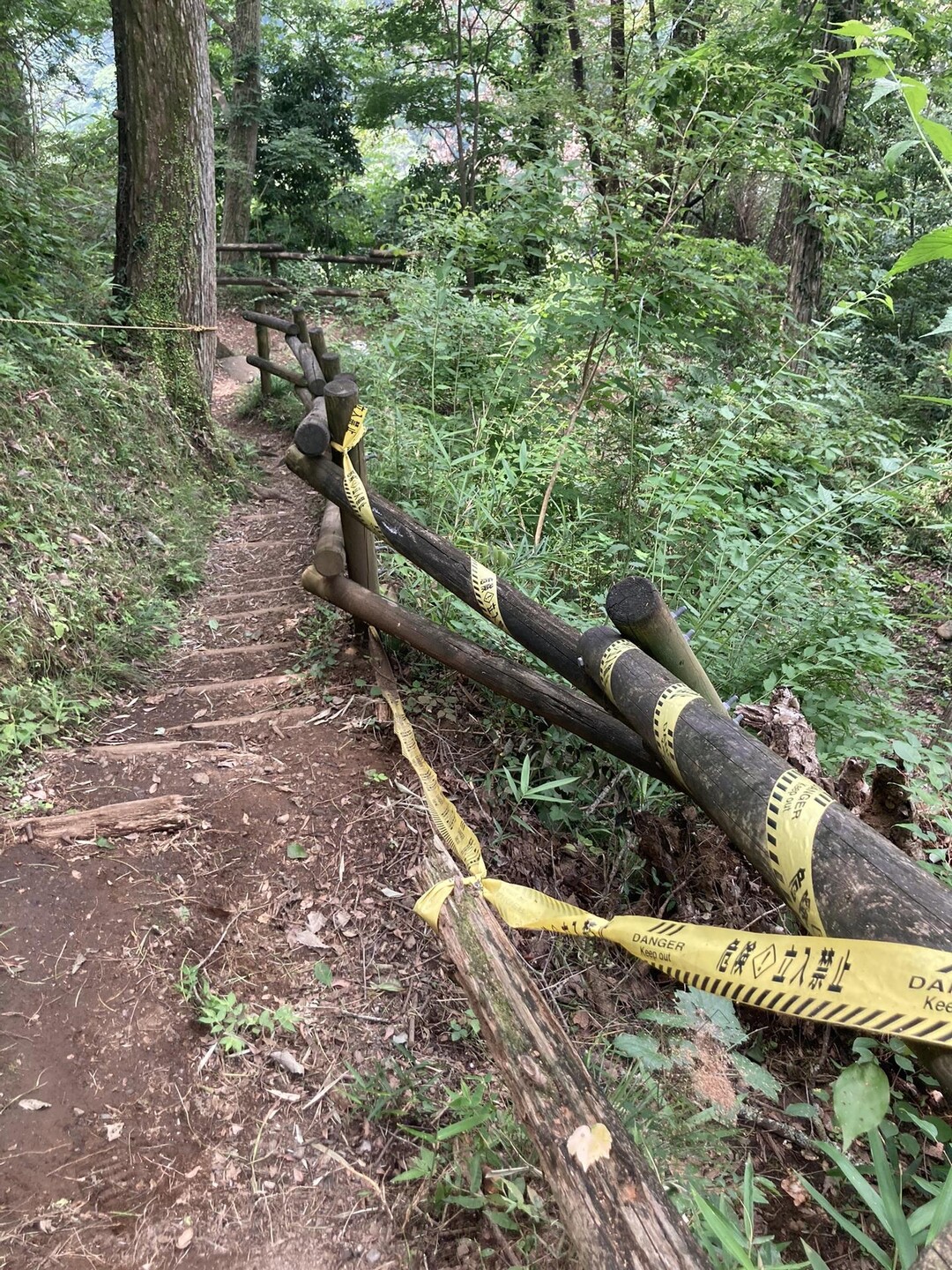 ringさんの投稿したフィールドメモ | YAMAP / ヤマップ