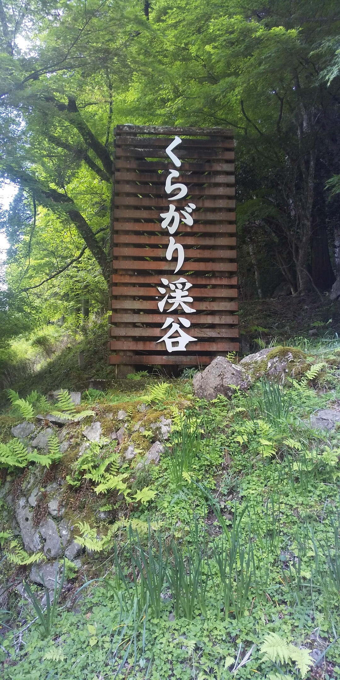 本宮山～くらがり渓谷#3 / かずさんの本宮山・大日山・風頭山の活動データ | YAMAP / ヤマップ