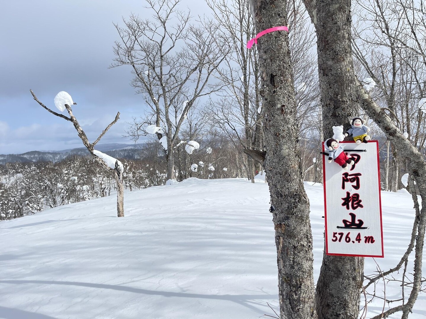 ️ステキな伊阿根山 ️ / momo🐦さんの丸山・三面山・シラッケ山の活動データ | YAMAP / ヤマップ