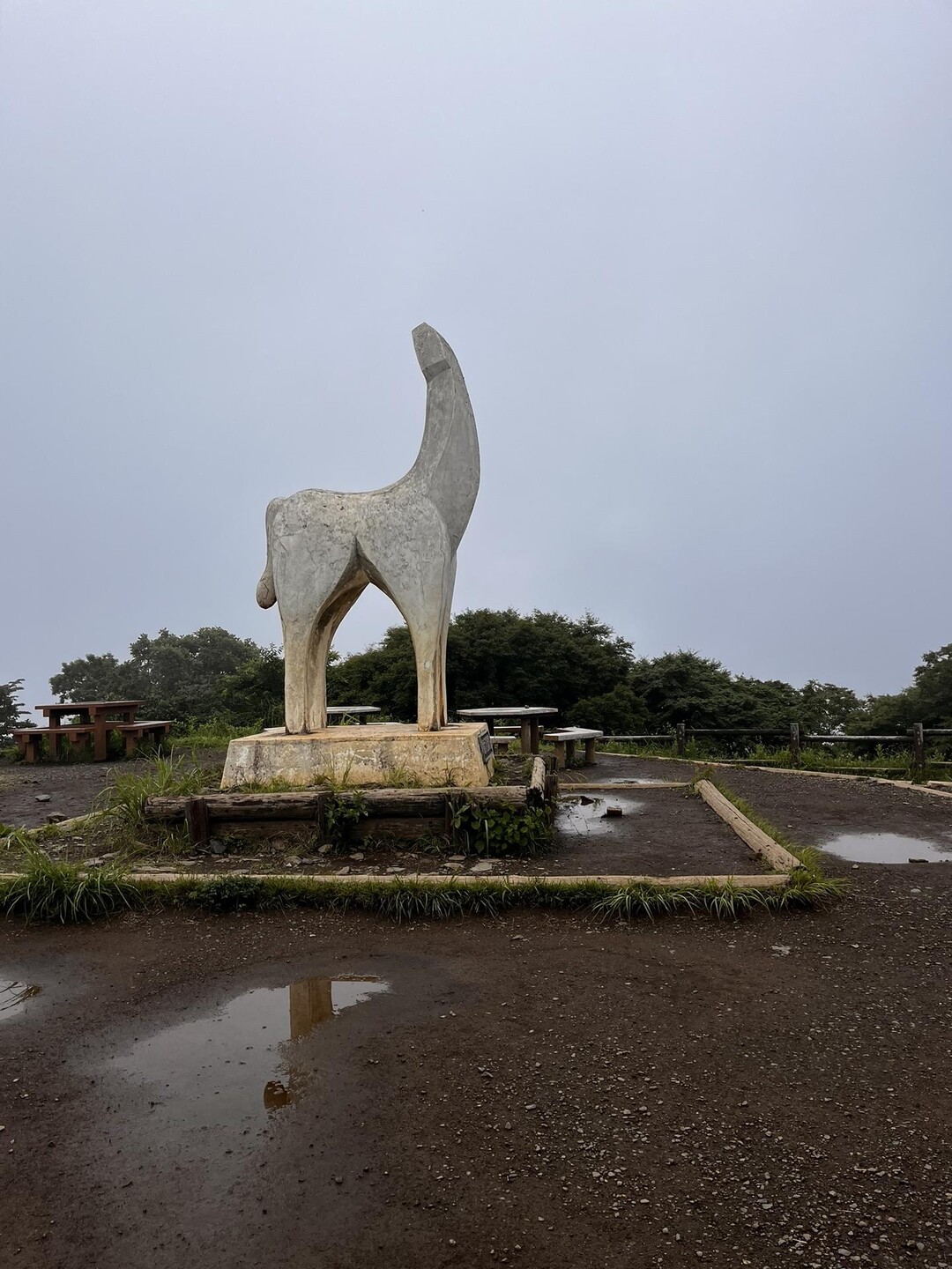 高尾山・陣馬山・景信山-2023-06-15 / Mt.UKさんの高尾山・陣馬山・景信山の活動データ | YAMAP / ヤマップ