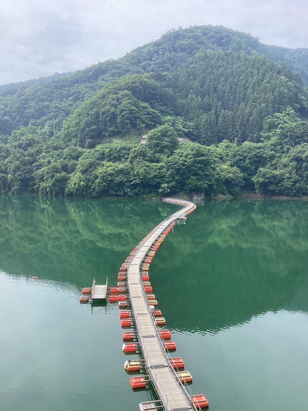 イヨ山・ヌカザス山・入小沢ノ峰・三頭山（西峰） / Ryuさんの三頭山・槇寄山・土俵岳の活動データ | YAMAP / ヤマップ