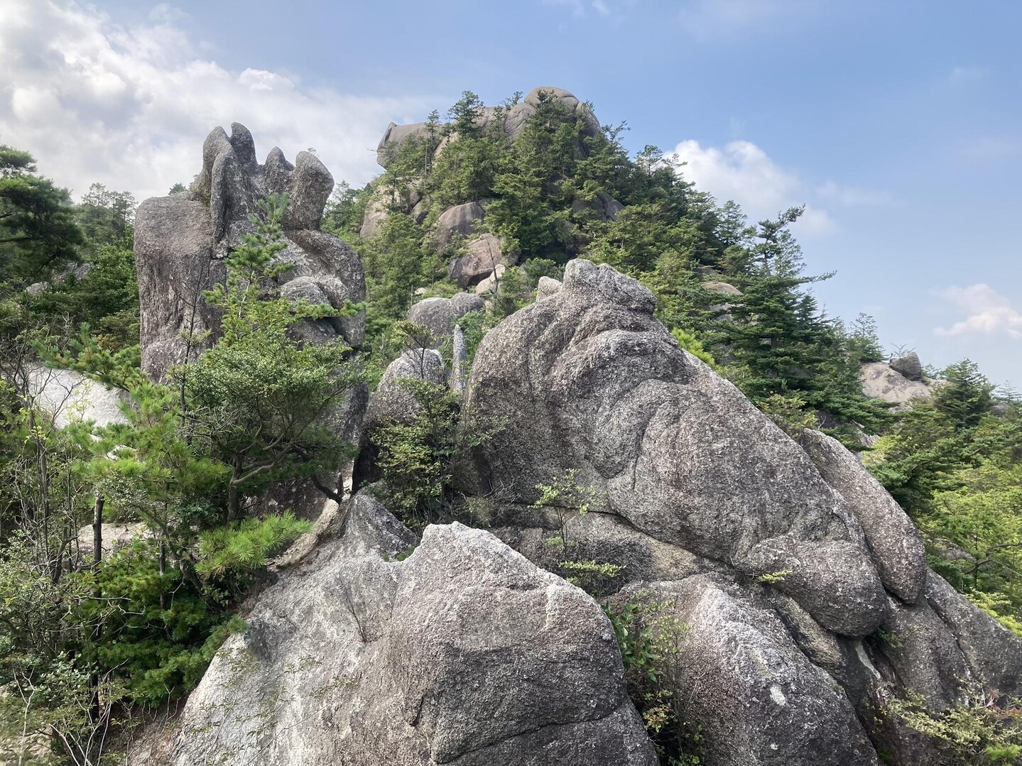 金勝アルプス / jinger8さんの金勝アルプス（鶏冠山・竜王山）の活動データ | YAMAP / ヤマップ