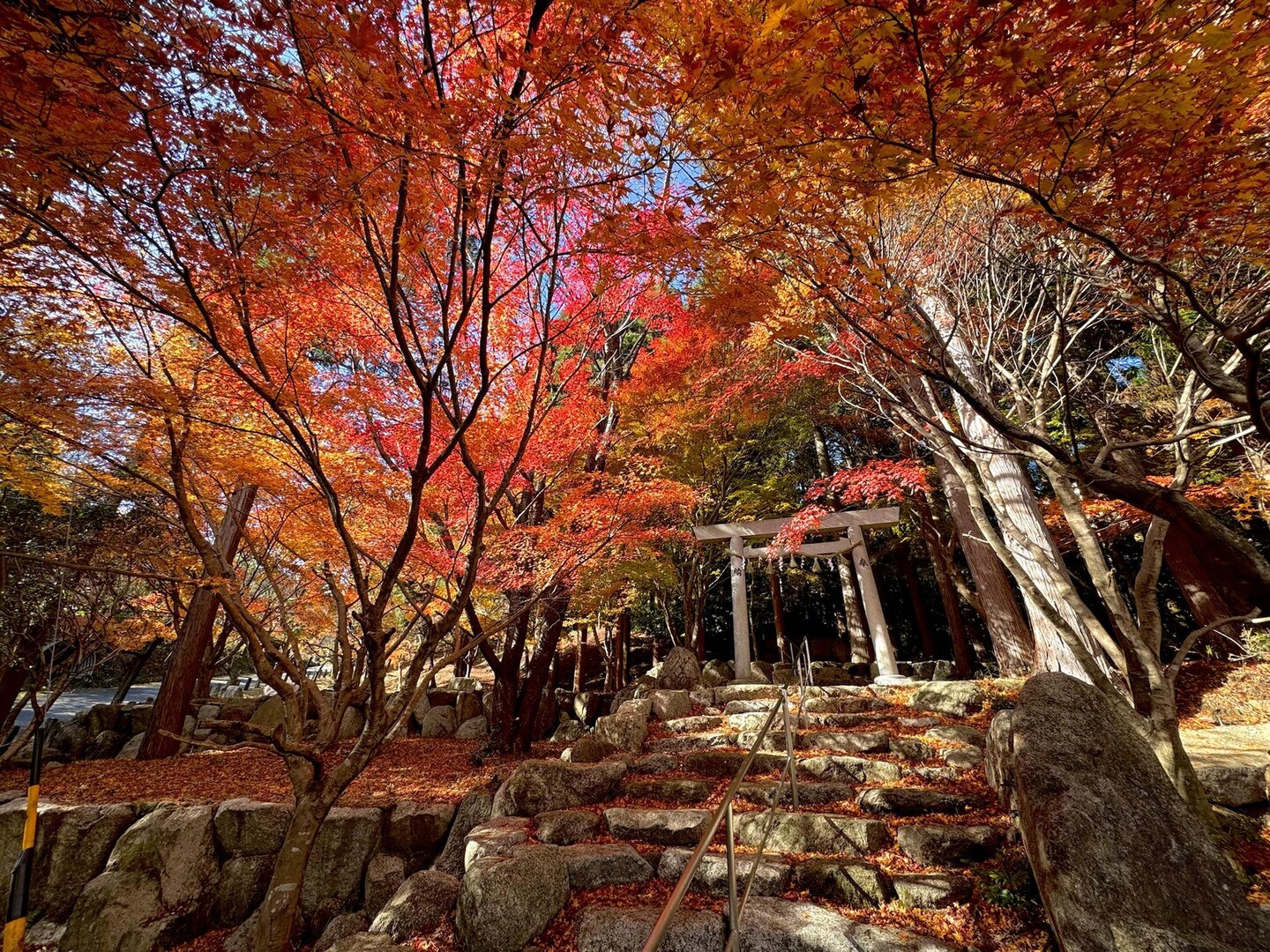 菰野富士・ネコ / Jun-cさんの御在所岳（御在所山）・雨乞岳の活動データ | YAMAP / ヤマップ