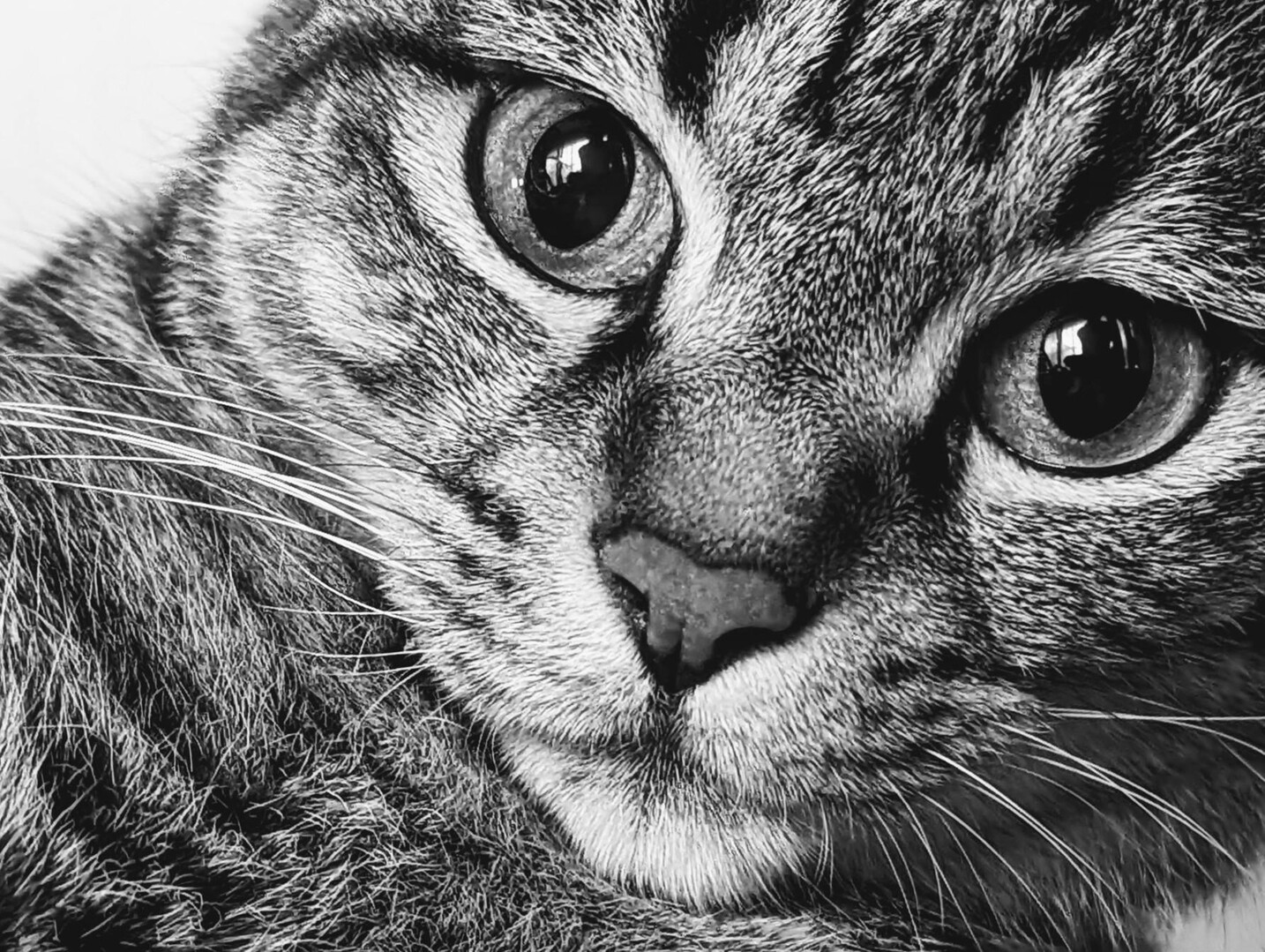 こずなぎ[kozunagi_suga]のページ | YAMAP / ヤマップ