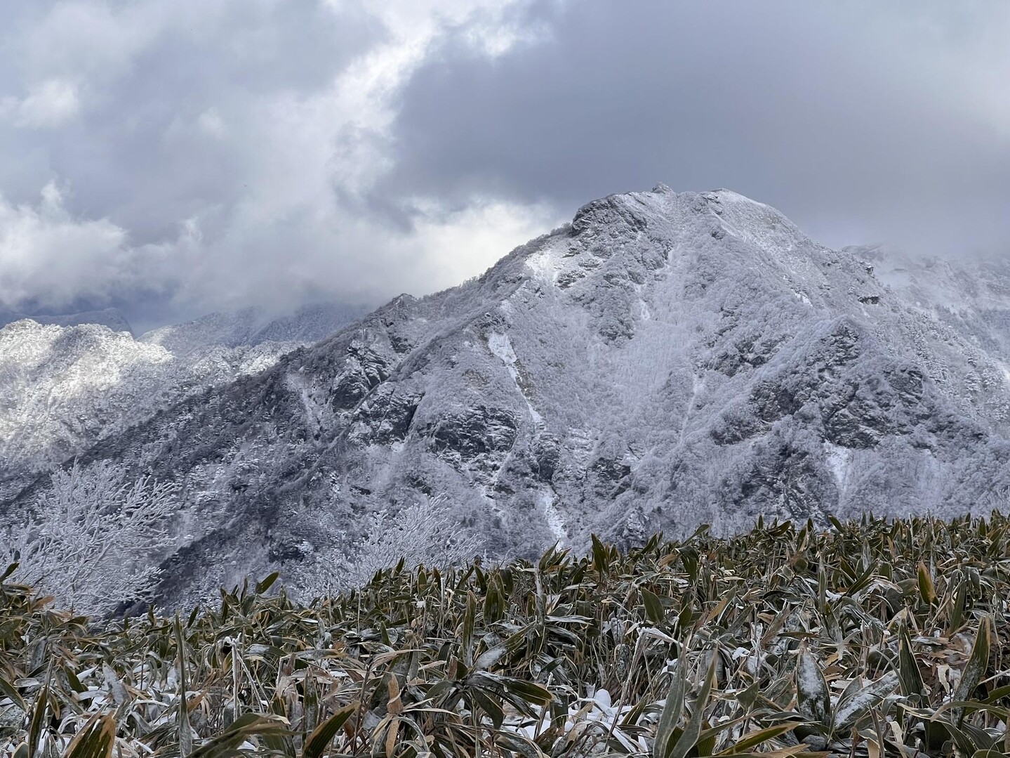 寒風山・伊予富士-2022.12.18 / yamakenさんの笹ヶ峰・寒風山・平家平の活動データ | YAMAP / ヤマップ