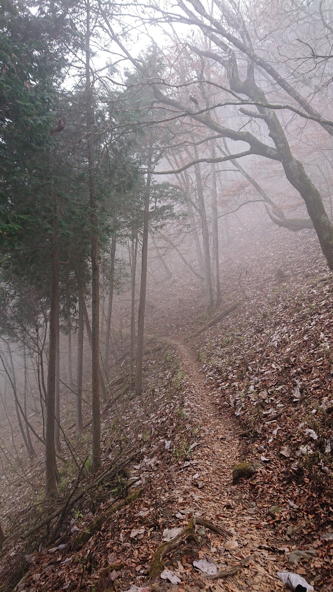 fuu-rinさんの投稿したフィールドメモ | YAMAP / ヤマップ