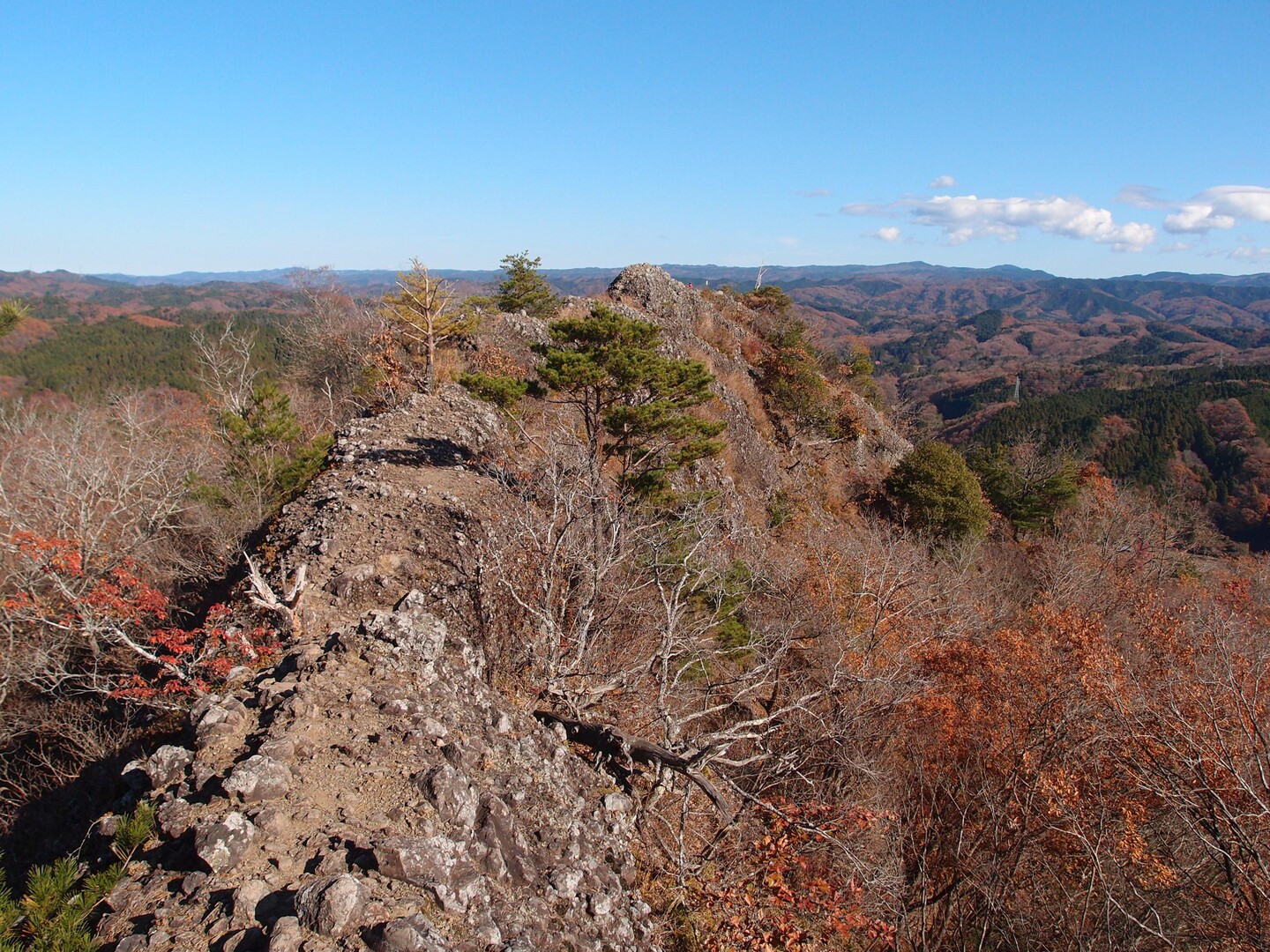 生瀬富士・茨城のジャンダルム・立神山・月居山 / s-kobaさんの生瀬富士・大子アルプスの活動データ | YAMAP / ヤマップ
