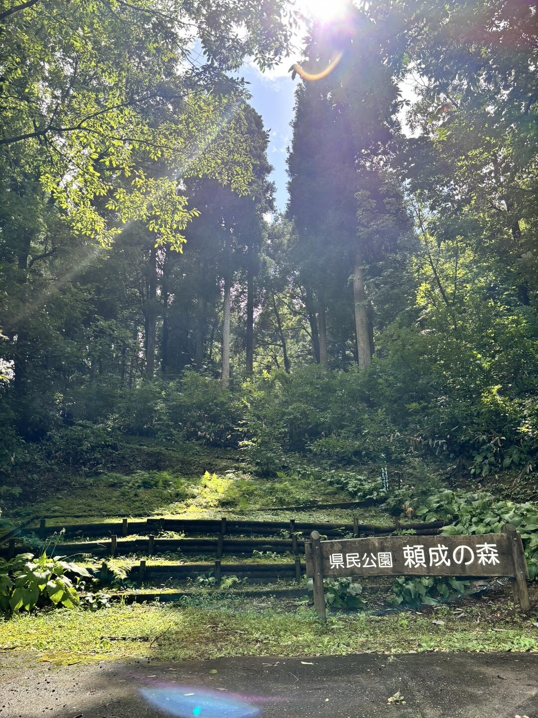 八が峰・鵯山・天狗山 / Rさんの頼成の森・天狗山の活動データ | YAMAP / ヤマップ