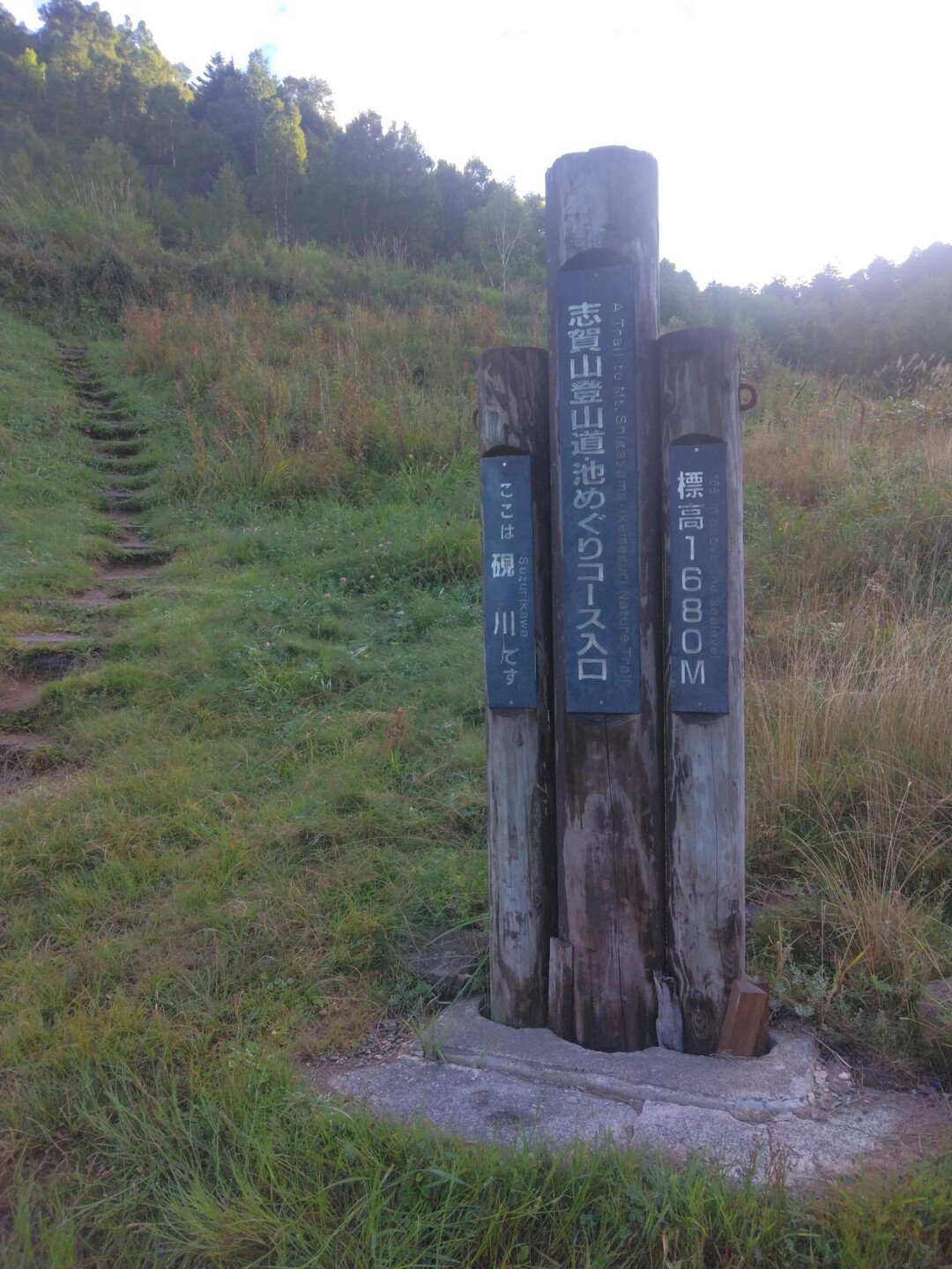 新・花の百名山 志賀山・前山・裏志賀山・鉢山 / Pi-tan🐥さんの横手山・志賀山・赤石山の活動データ | YAMAP / ヤマップ