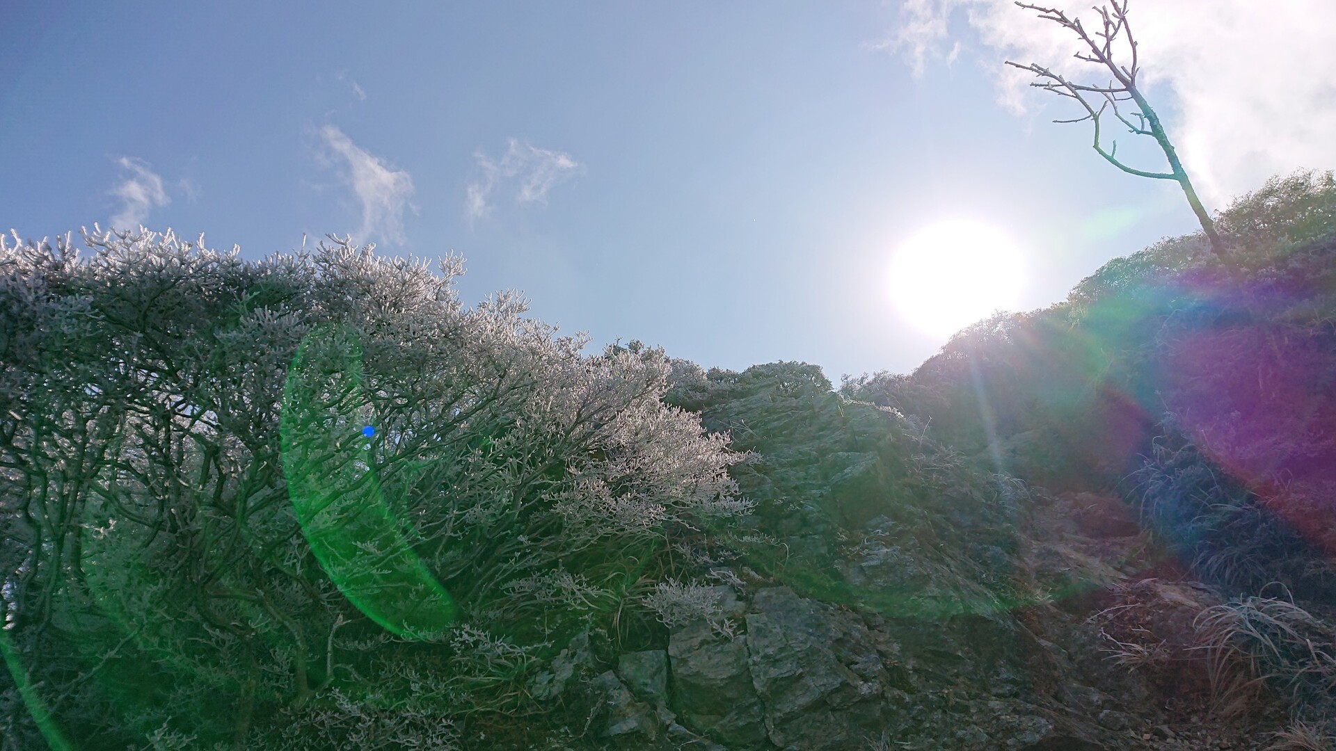 三嶺 / shuuu54さんの三嶺・天狗塚・石立山の活動データ | YAMAP / ヤマップ