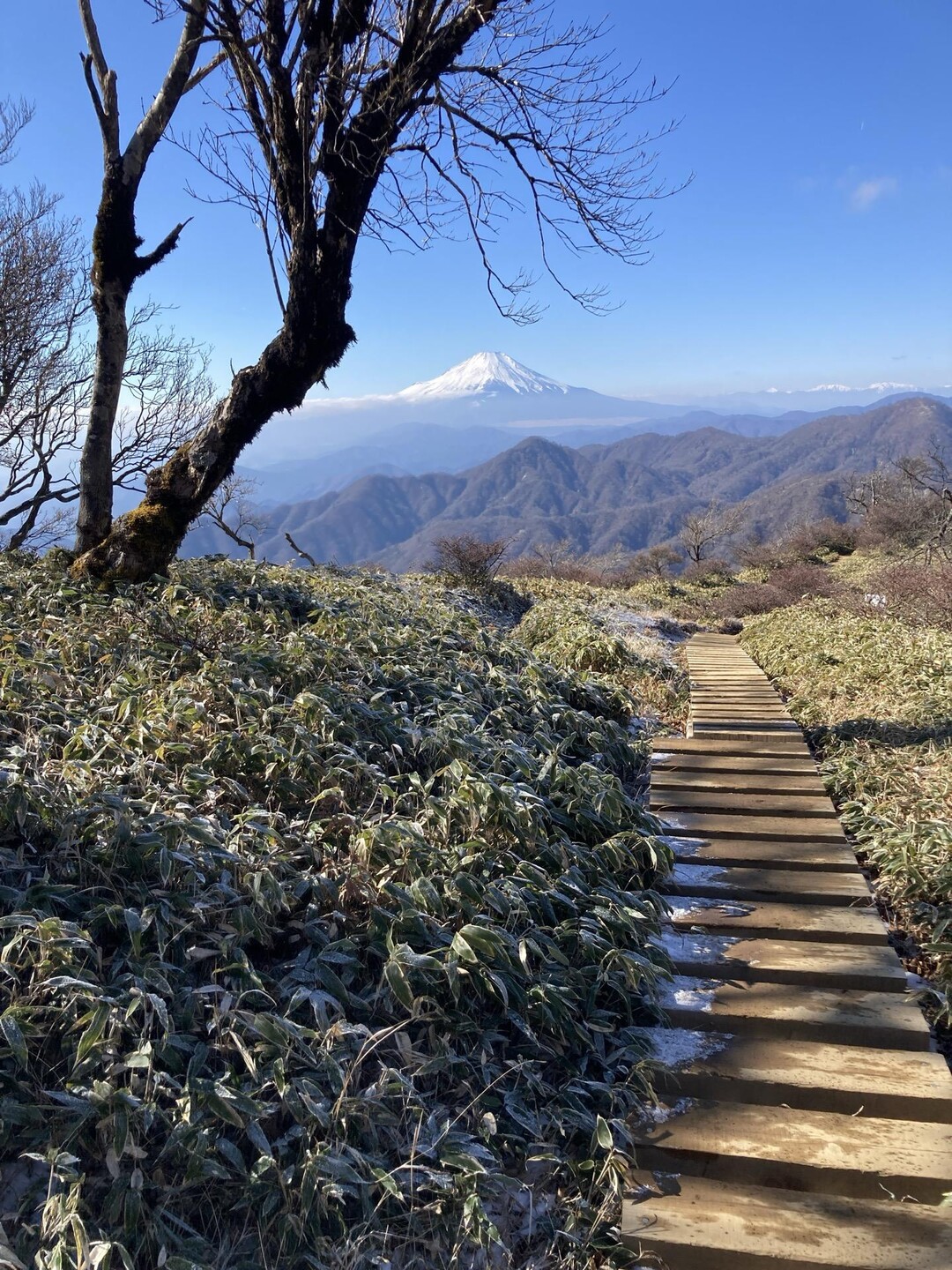 堀山・塔ノ岳・日高・竜ヶ馬場・丹沢山・不動ノ峰・棚沢ノ頭・鬼ヶ岩ノ頭・蛭ヶ岳・ミカゲ沢ノ頭・金... / yuriさんの塔ノ岳・丹沢山・蛭ヶ岳の活動データ | YAMAP / ヤマップ