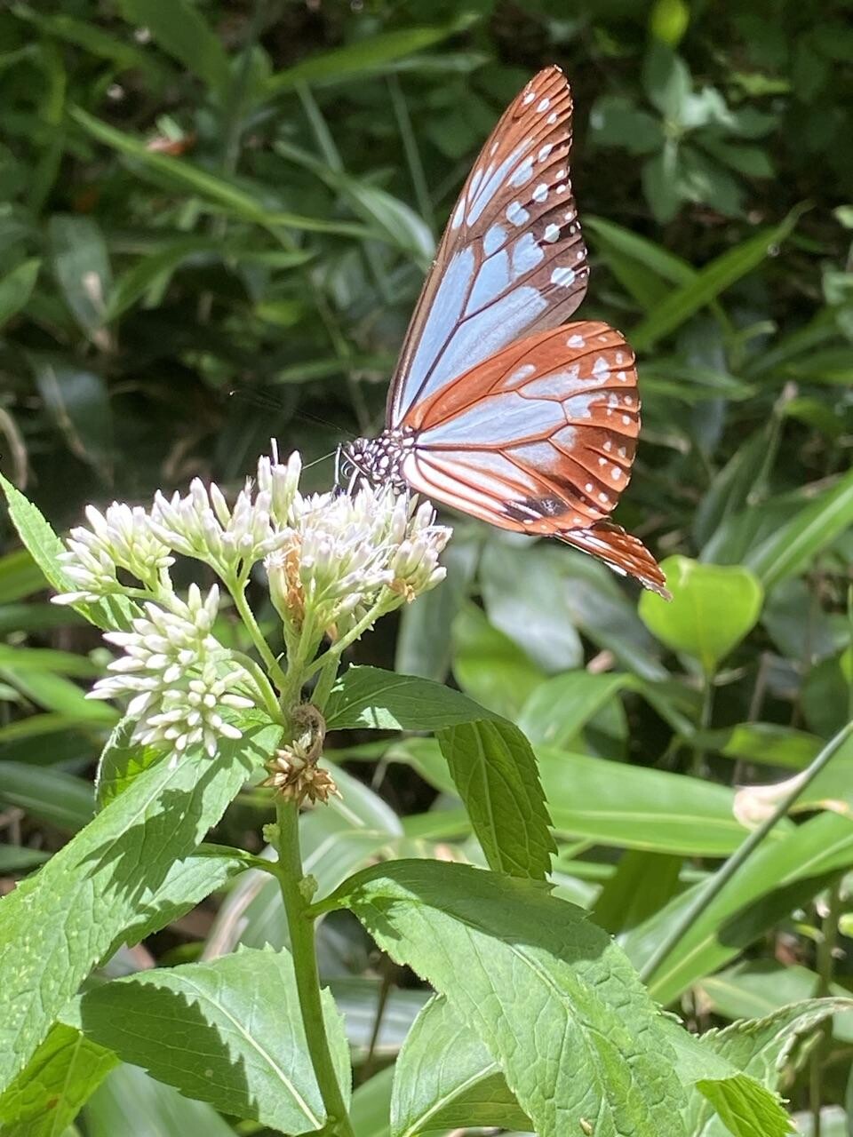 NORIのページ | YAMAP / ヤマップ