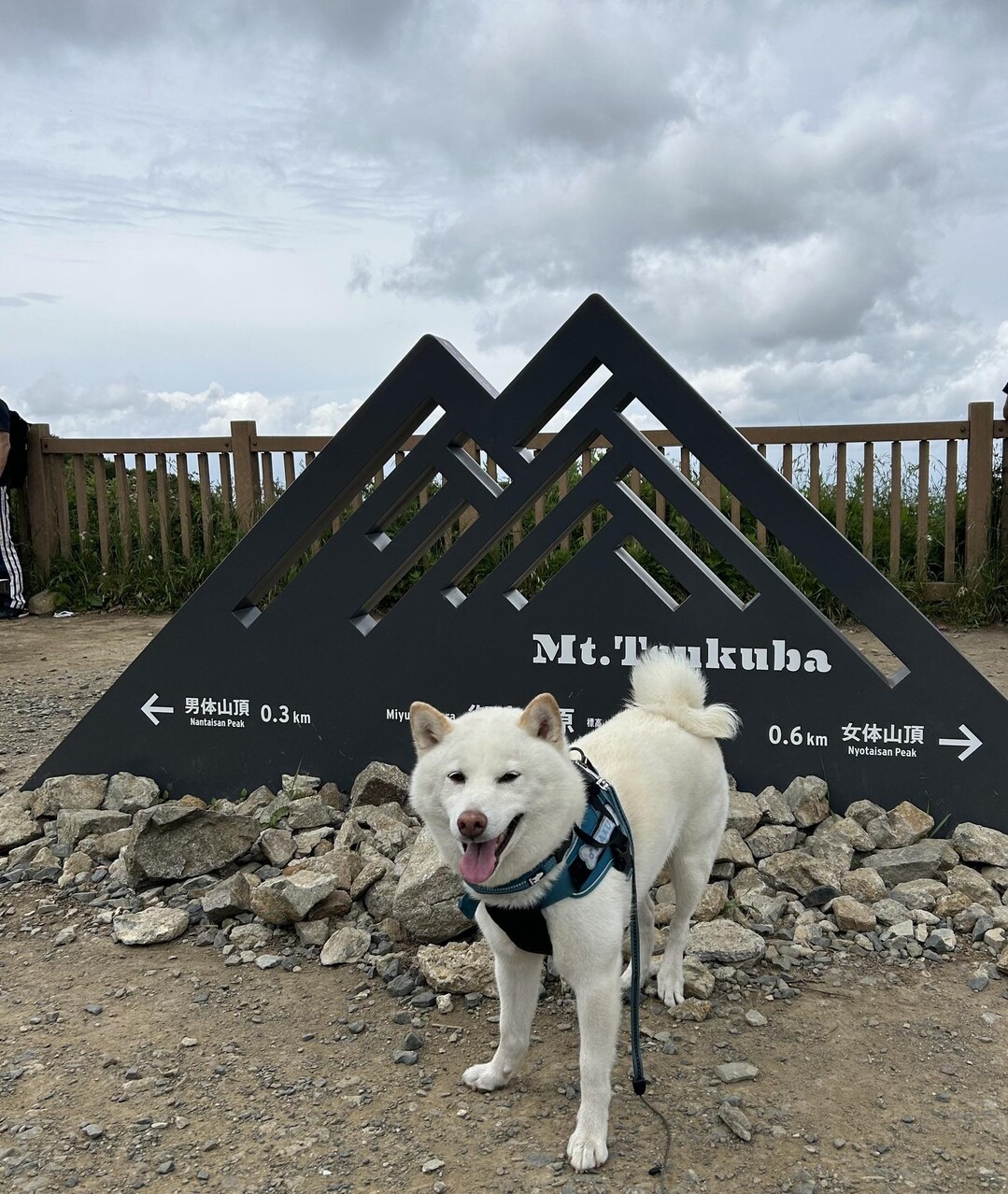 筑波山（犬連れ） / HAKU&NAOさんの筑波山の活動データ | YAMAP / ヤマップ