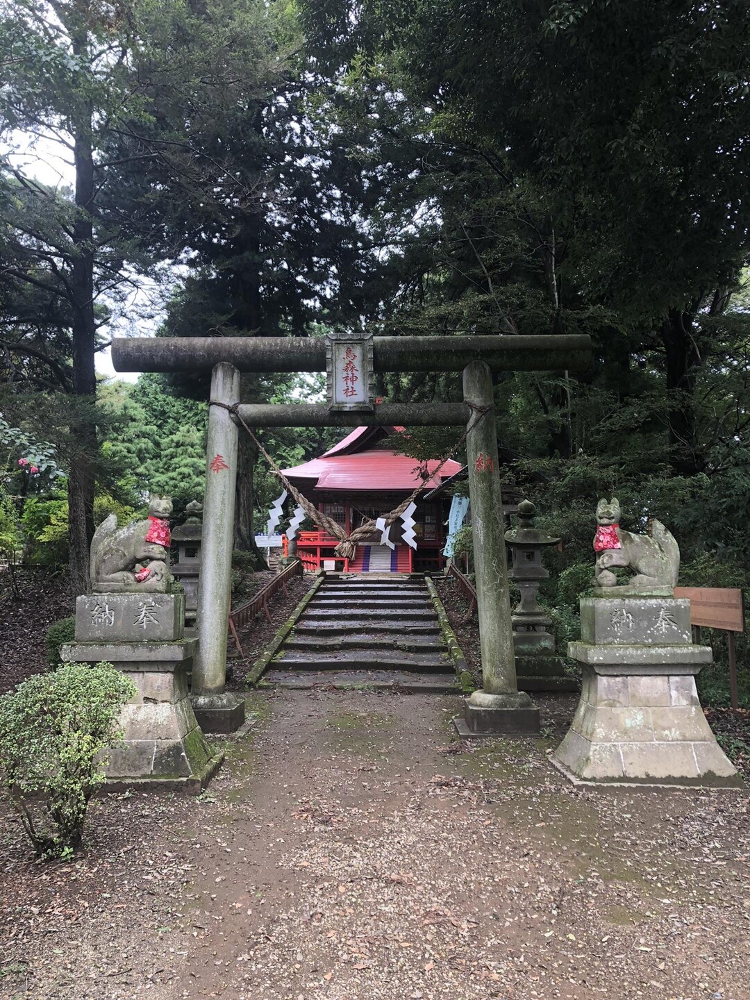 烏ヶ森 / IMOさんの烏ヶ森の活動データ | YAMAP / ヤマップ