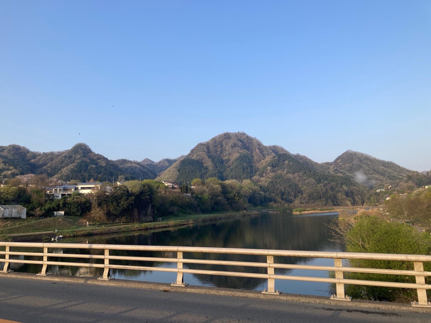 高柄山：何の変哲もないけどいい山デス😊 / nem&samさんの倉岳山・高畑山・九鬼山の活動データ | YAMAP / ヤマップ