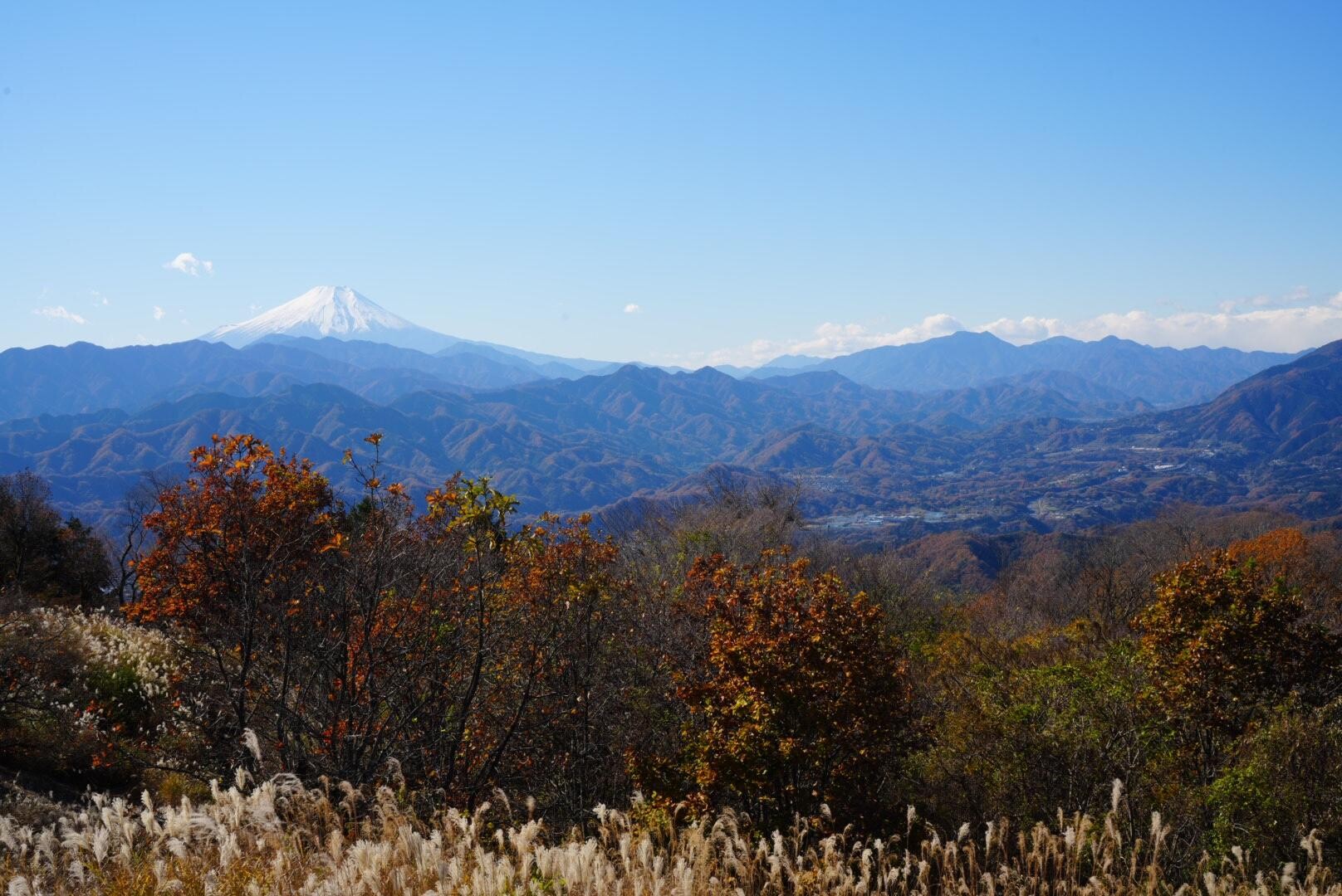 陣馬山〜高尾山 / Masa.Rさんの高尾山・陣馬山・景信山の活動日記 | YAMAP / ヤマップ