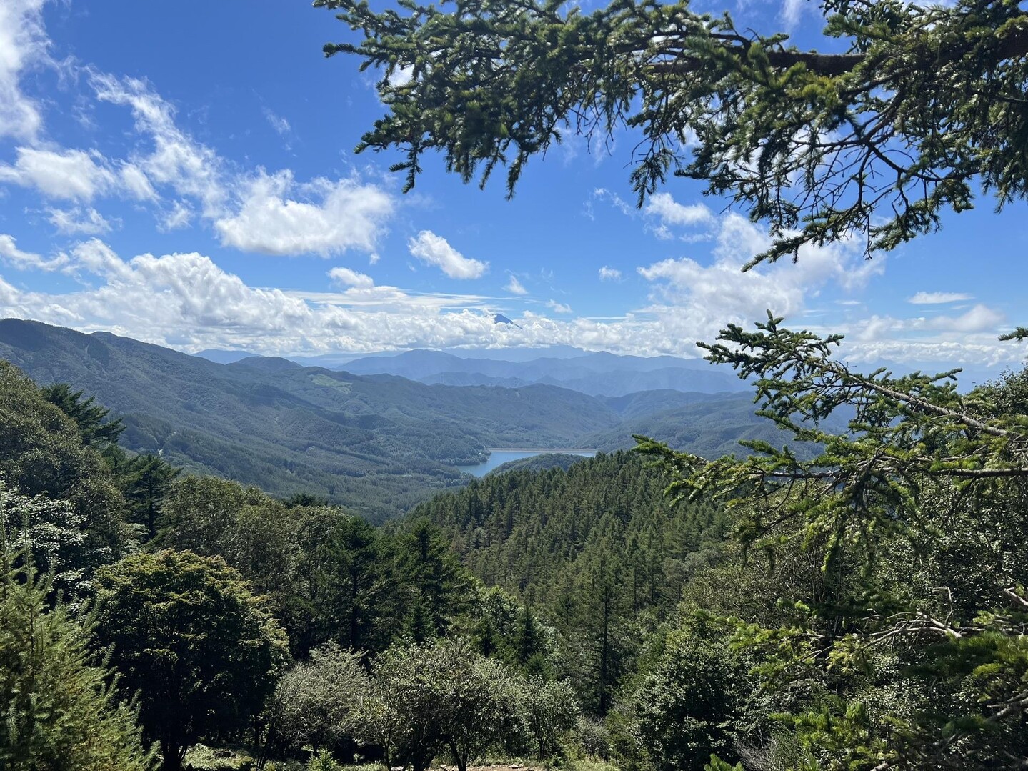 大菩薩嶺・国内御殿 / saoriさんの大菩薩嶺・鶏冠山・大マテイ山の活動データ | YAMAP / ヤマップ