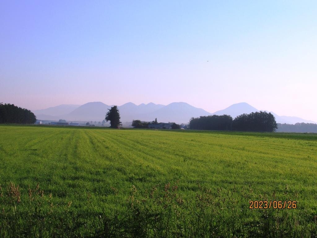 ランニング-2023-06-26 / miyaさんのランニングの活動データ | YAMAP / ヤマップ