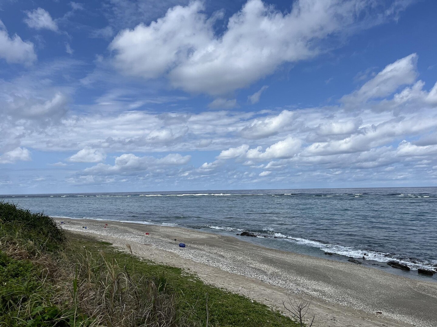 奄美大島 3/2急きょ奄美大島来ることに... / jittaさんのモーメント | YAMAP / ヤマップ