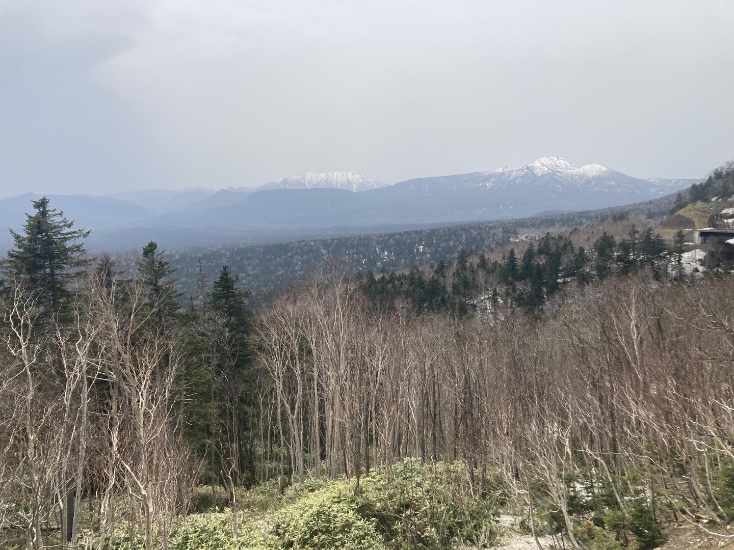 GWは三国峠〜層雲峡・黒岳🏔 実家から... / kotomyさんのモーメント | YAMAP / ヤマップ