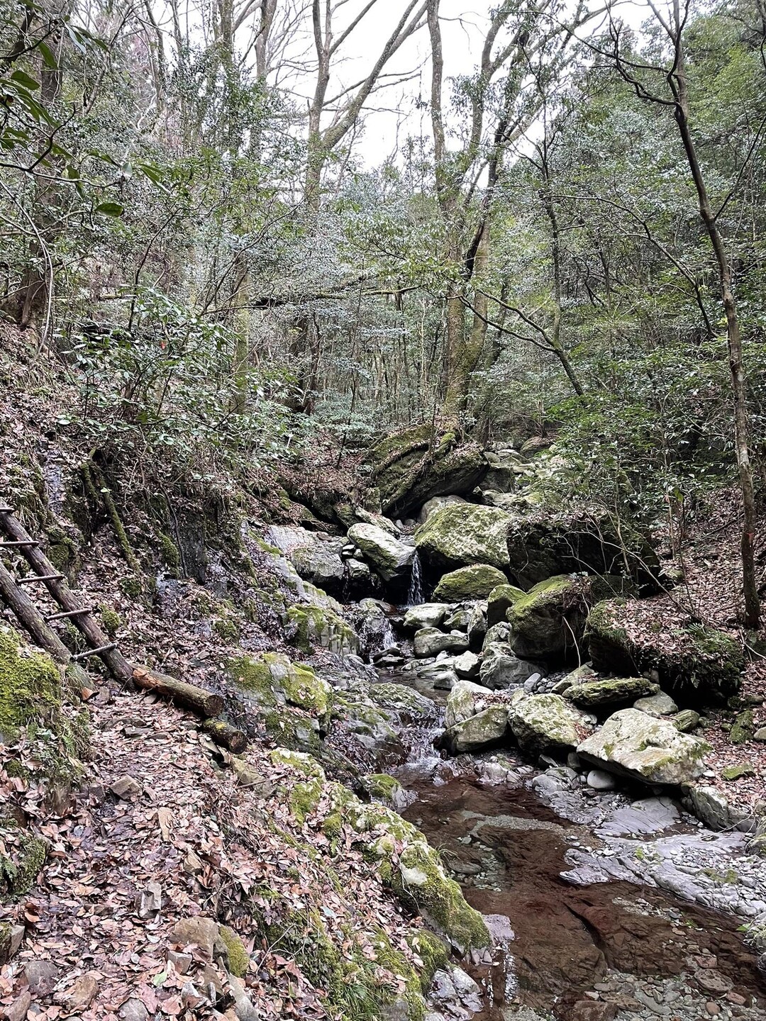 国見山〜三国山の稜線歩きと八方ヶ岳 / kinjunさんの八方ヶ岳の活動データ | YAMAP / ヤマップ