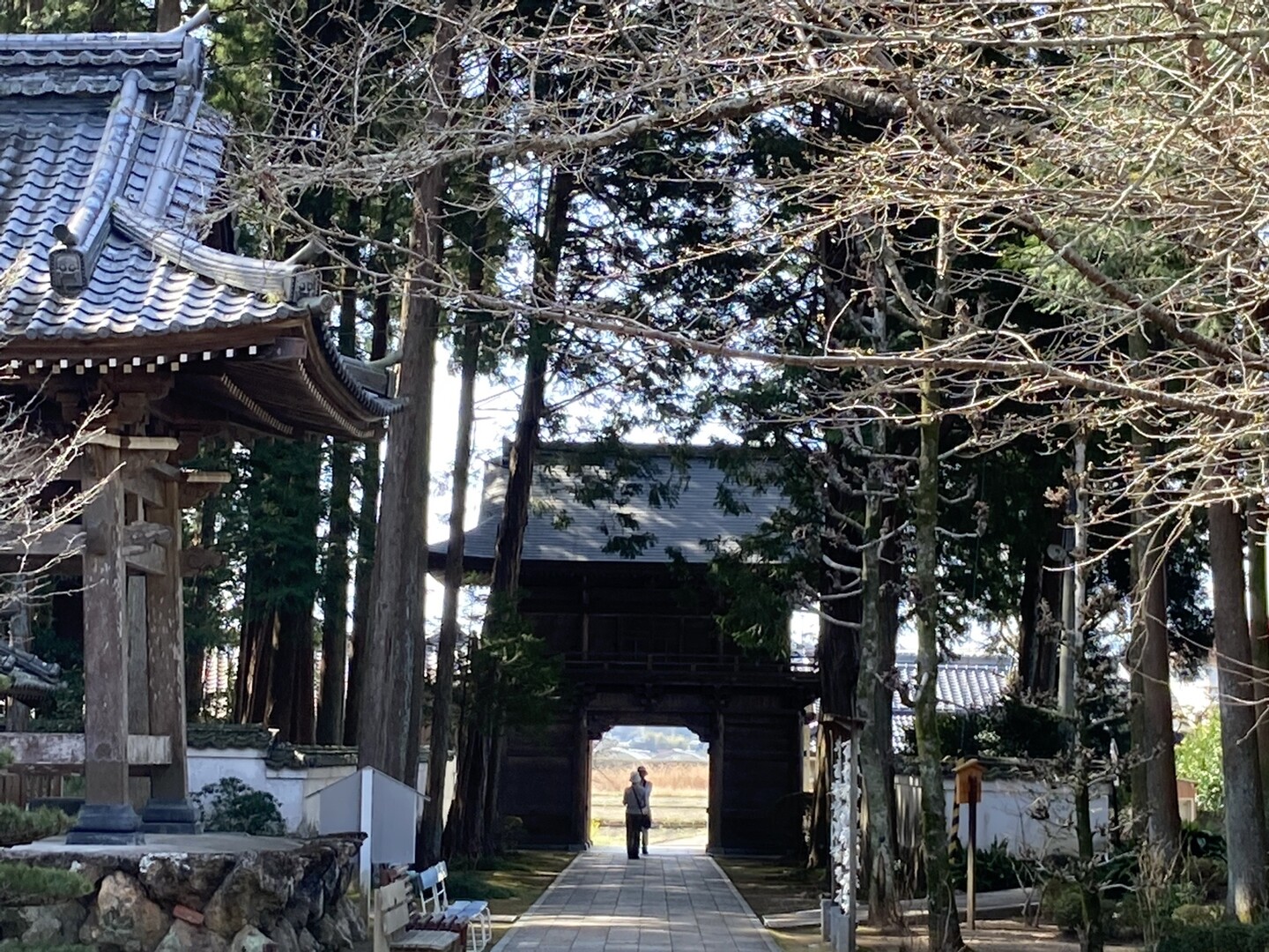 四国八十八ヶ所巡り 29番札所 国分寺 / koyunisoさんのモーメント | YAMAP / ヤマップ