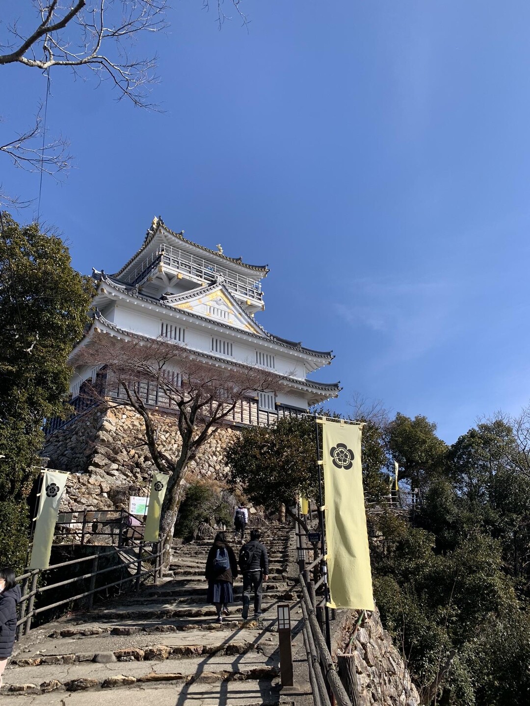 金華山（めい想の小径）・西山 / Viper Zeroさんの金華山・洞山・舟伏山の活動データ | YAMAP / ヤマップ