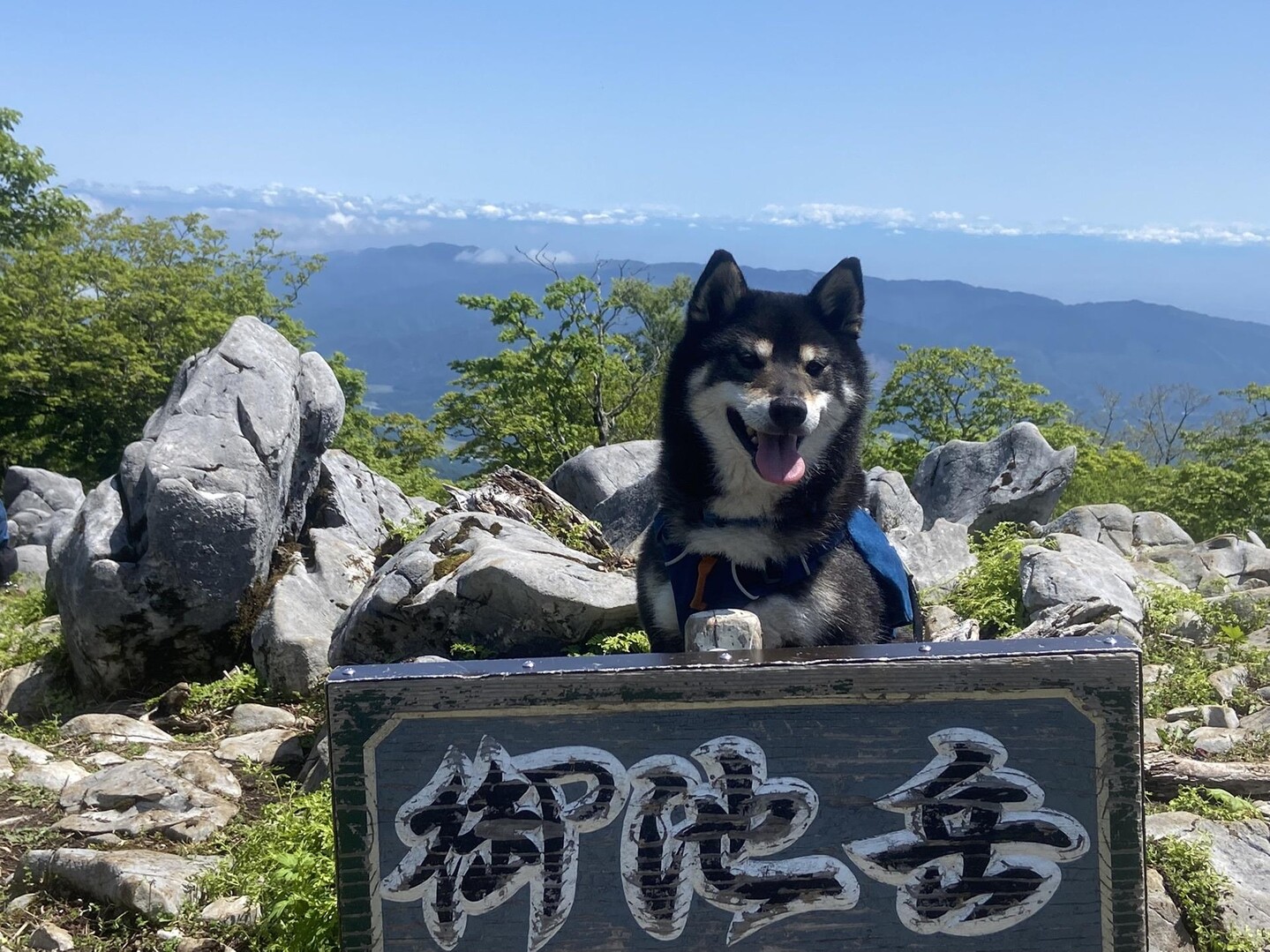 御池岳にリスを探しに行って来ました ht... / Corchanさんのモーメント | YAMAP / ヤマップ